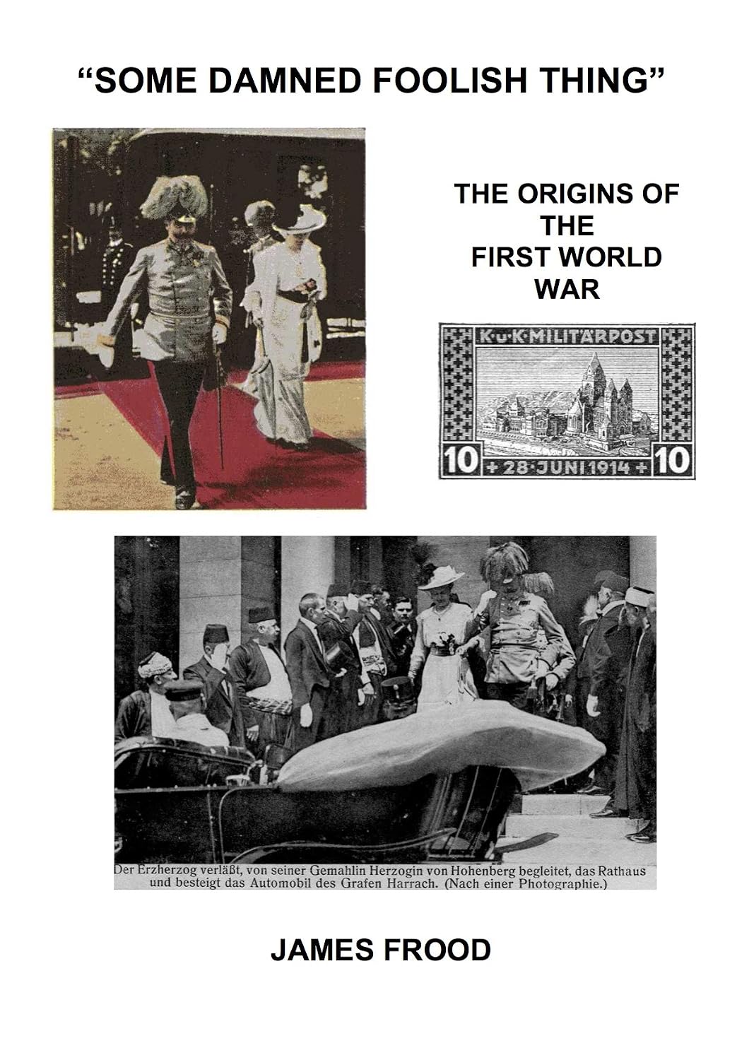 Amazon.com: 'Some Damned Foolish Thing': The Origins Of The First World ...