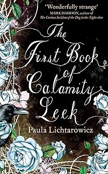 The First Book of Calamity Leek: Amazon.co.uk: Lichtarowicz, Paula ...