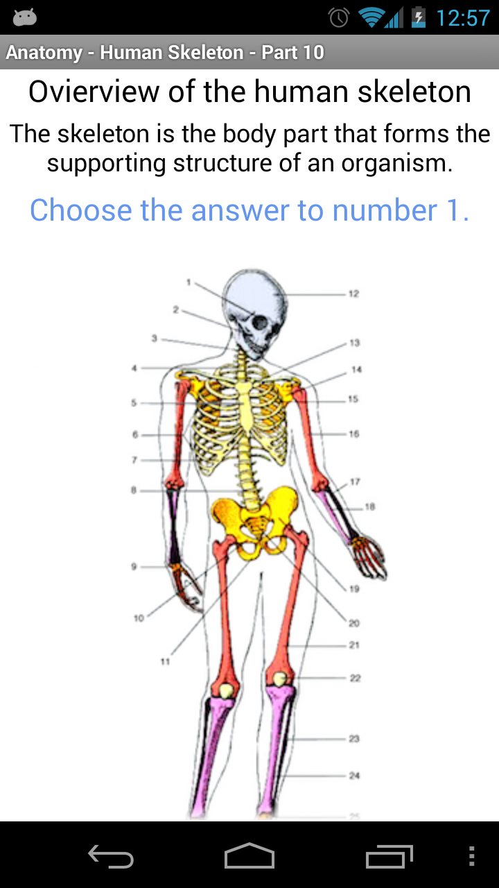 Anatomy - Human Skeleton - Part 10 - App on Amazon Appstore