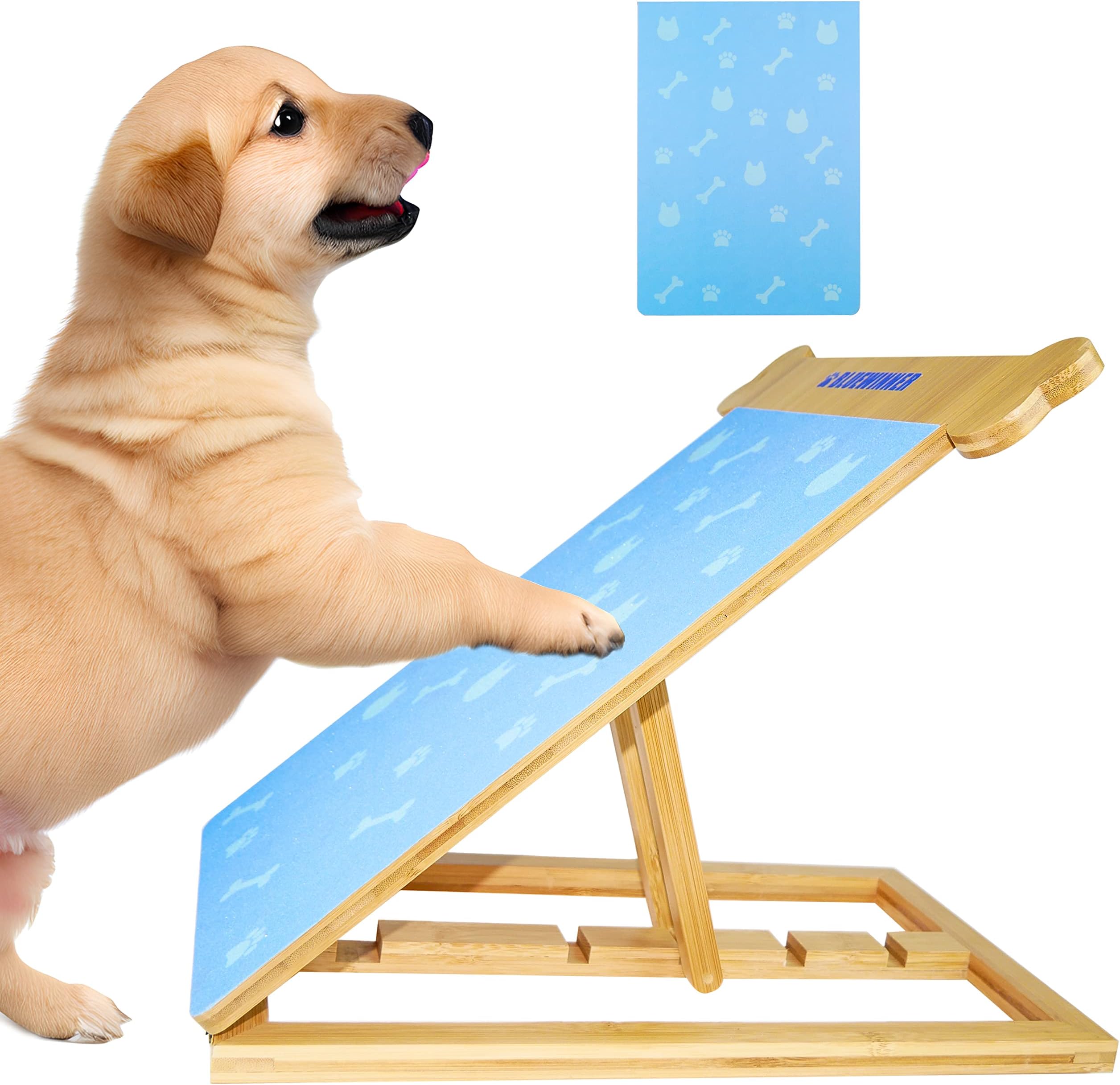 Amazon.com : BLUEWINNER Dog Scratch Pad for Nails, Scratch Square for ...