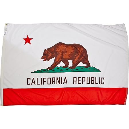 Amazon.com: Annin Flagmakers California State Flag USA-Made to Official ...