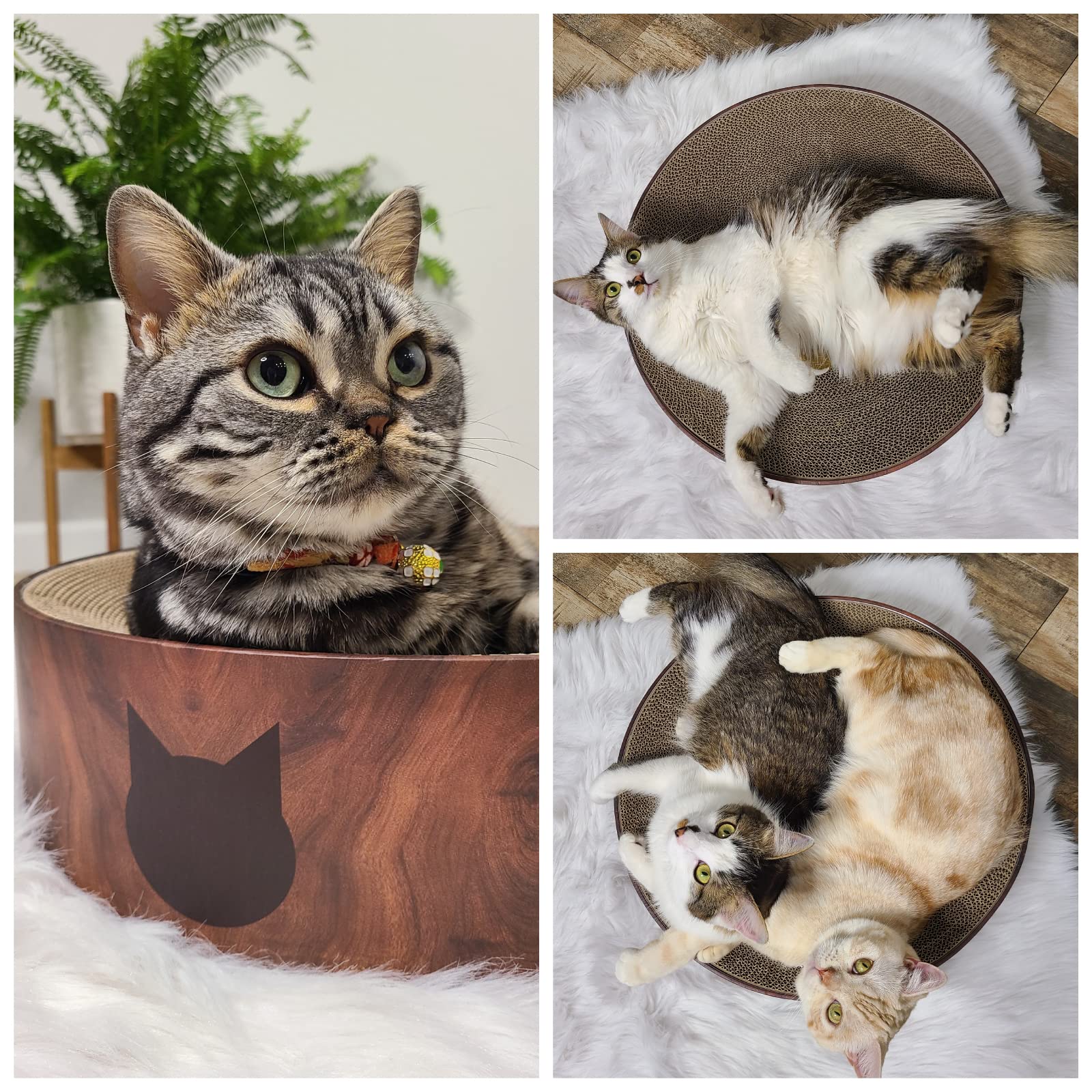 Snapklik.com : Necoichi Cat Scratcher Bowl For Indoor Cats - Cat ...