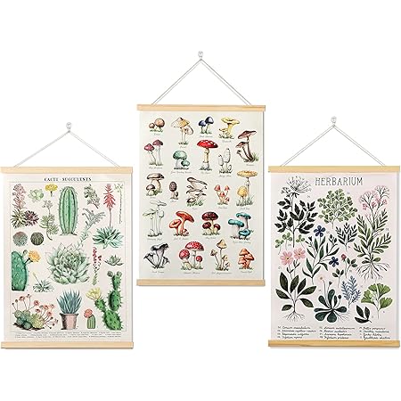 Amazon.com: Vintage Mushroom Poster Fungus Wall Art Prints Rustic ...