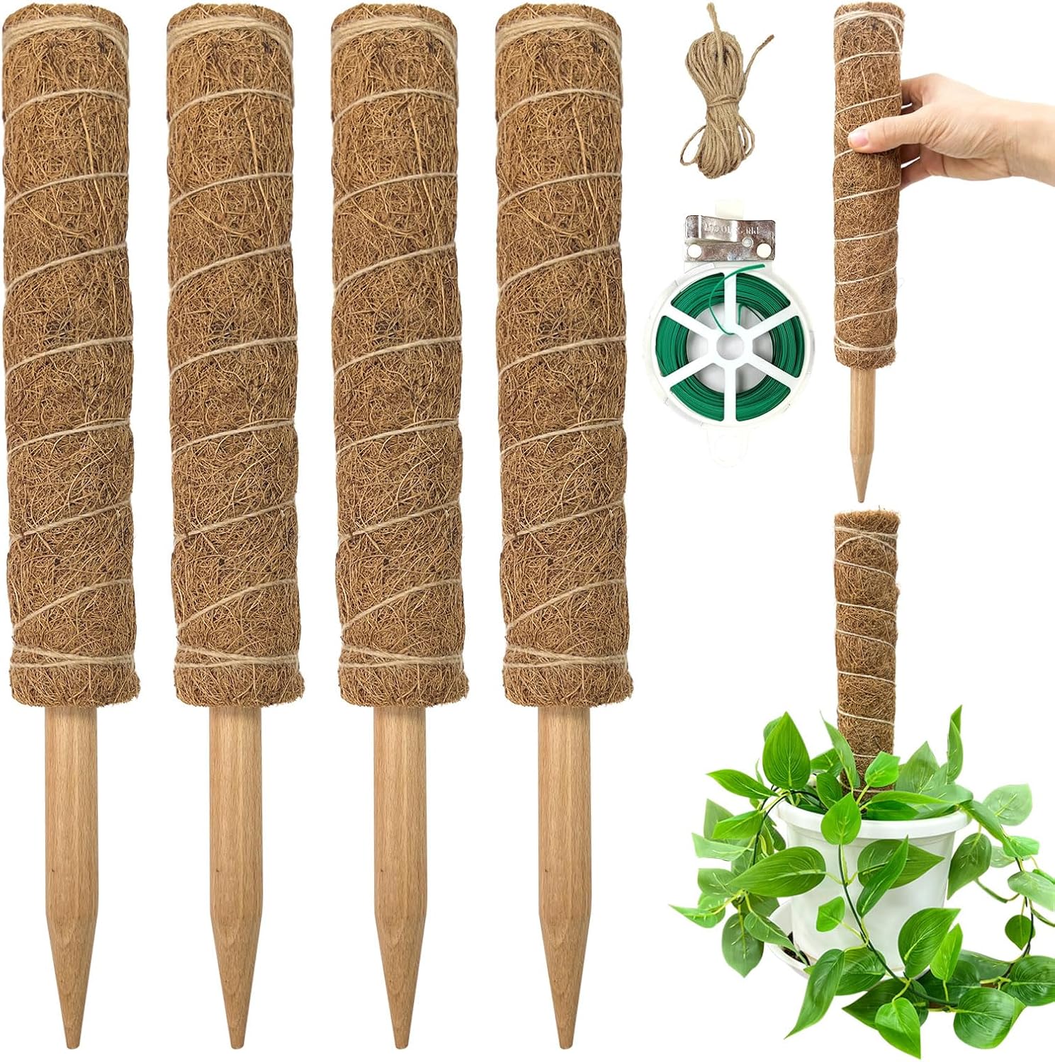 Amazon.com : JINYICOCO 62 Inch Moss Stick for Potted Plants 4 Pcs 15.7 ...