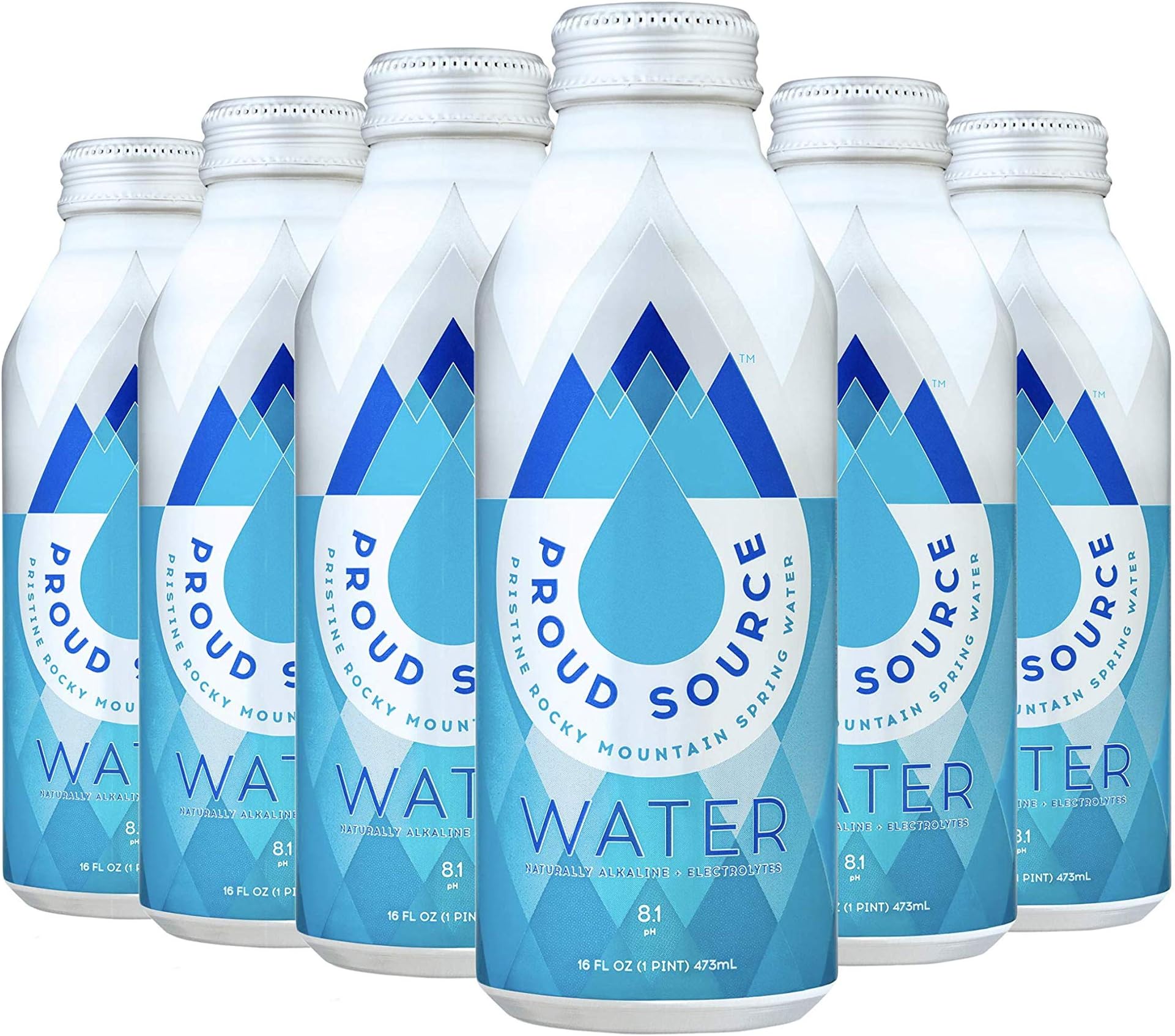 Amazon.com : PROUD SOURCE WATER Natural Alkaline 8.1pH Spring Water, 16 ...