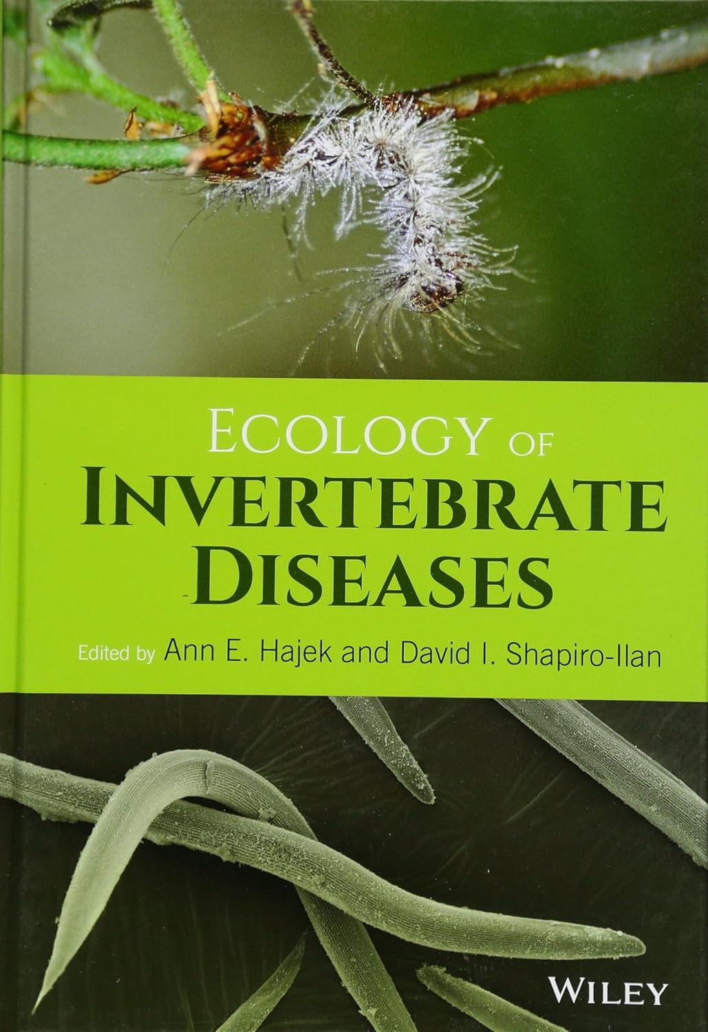 Amazon.com: Ecology of Invertebrate Diseases: 9781119256076: Hajek, Ann ...