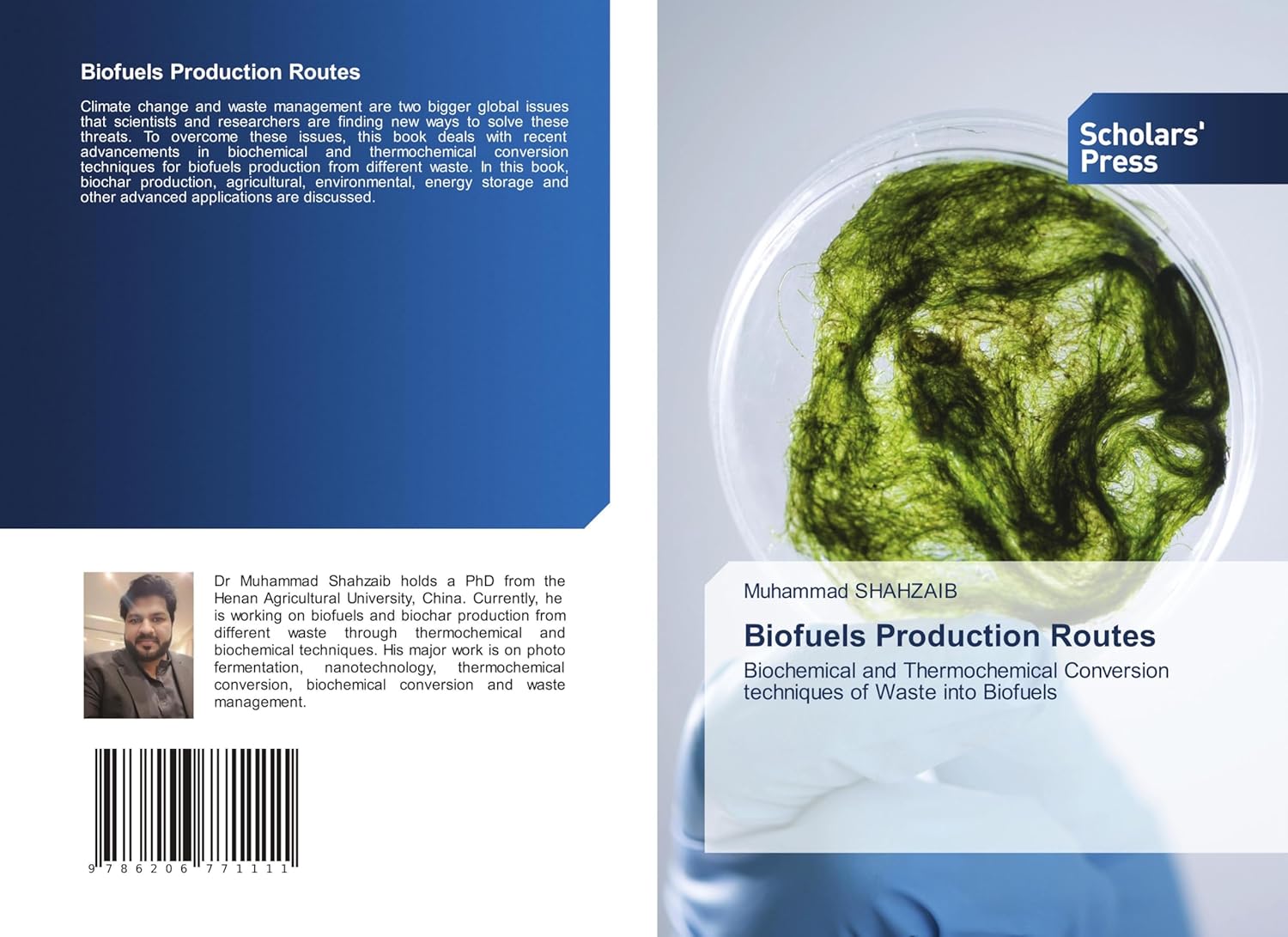 Biofuels Production Routes: Biochemical and Thermochemical Conversion ...