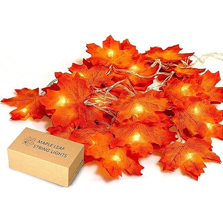 Amazon.com: JamBer Fall Maple Leaf Garland 20 LED Maple Leaves Fairy ...