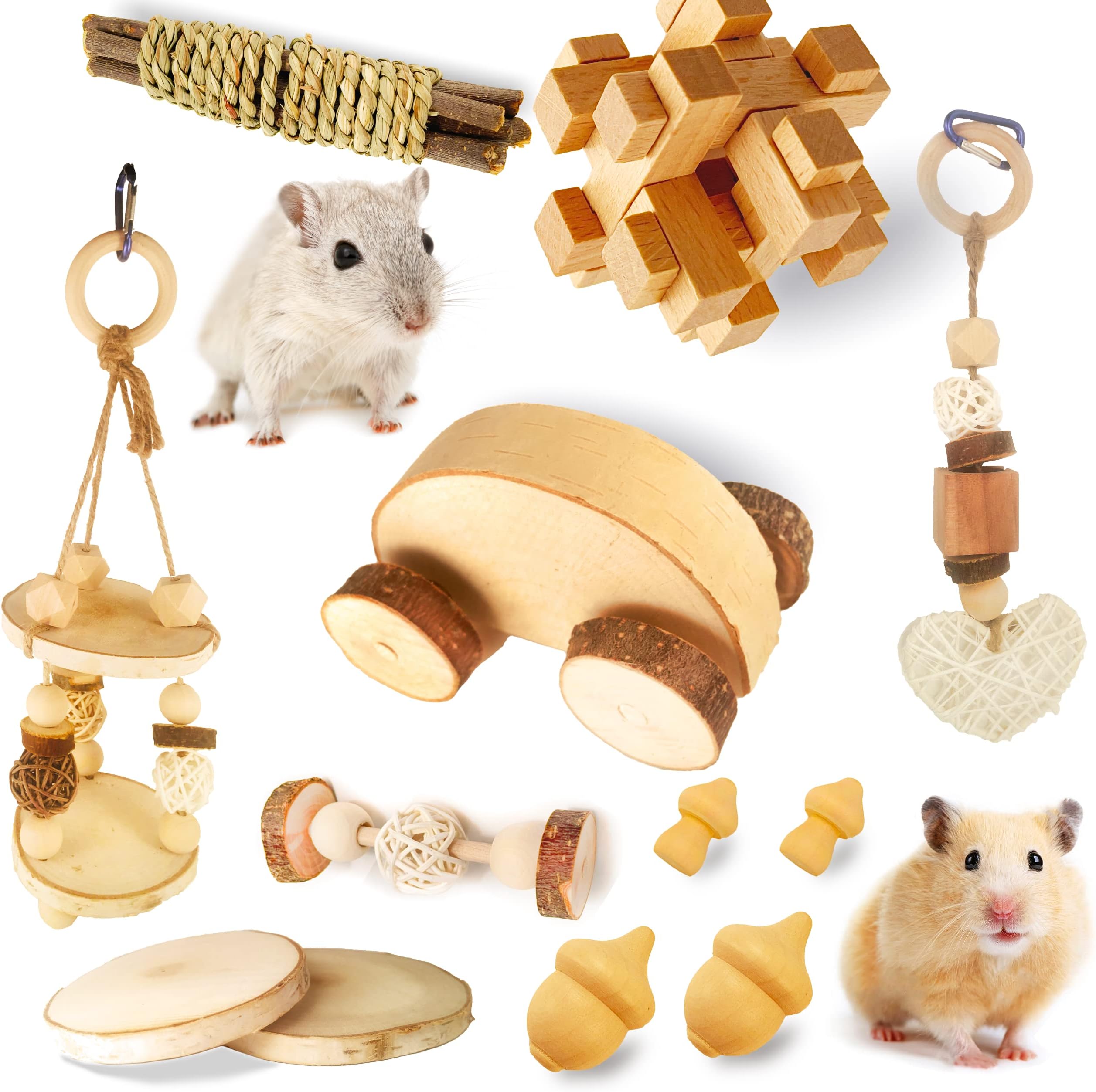 Amazon.com : YIXUND Hamster Cage Accessories, 12 Different Chew Toys ...