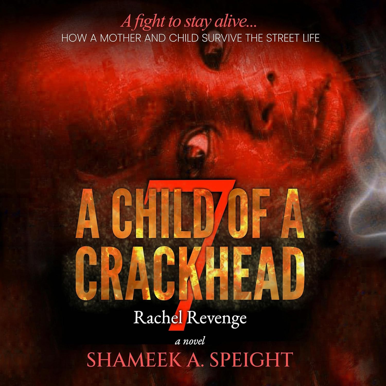 Amazon.com: A Child of a Crackhead 7: Rachel's Revenge (Audible Audio ...