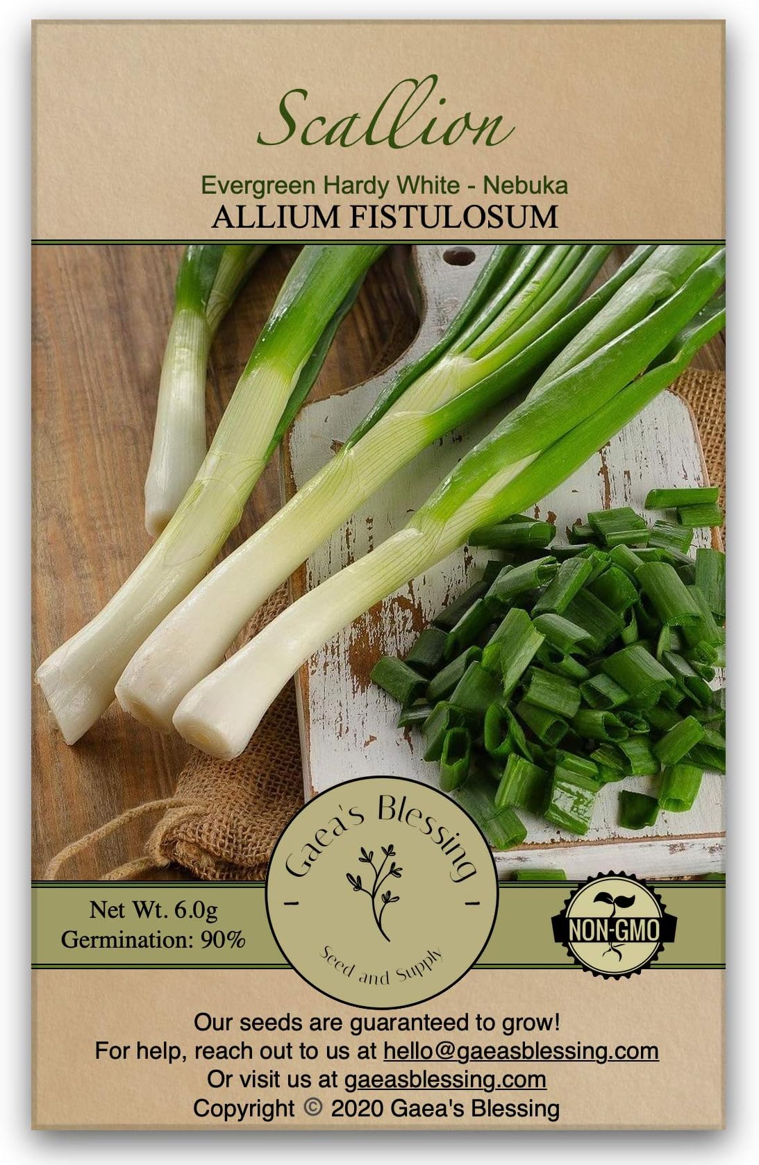 Amazon.com : Scallion “Red Beard” – Bunching Onion Type - Resilient ...