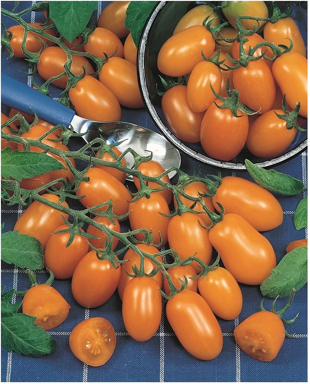 Premier Seeds Direct - Tomato - Shirley F1-12 Finest Seeds : Amazon.co ...