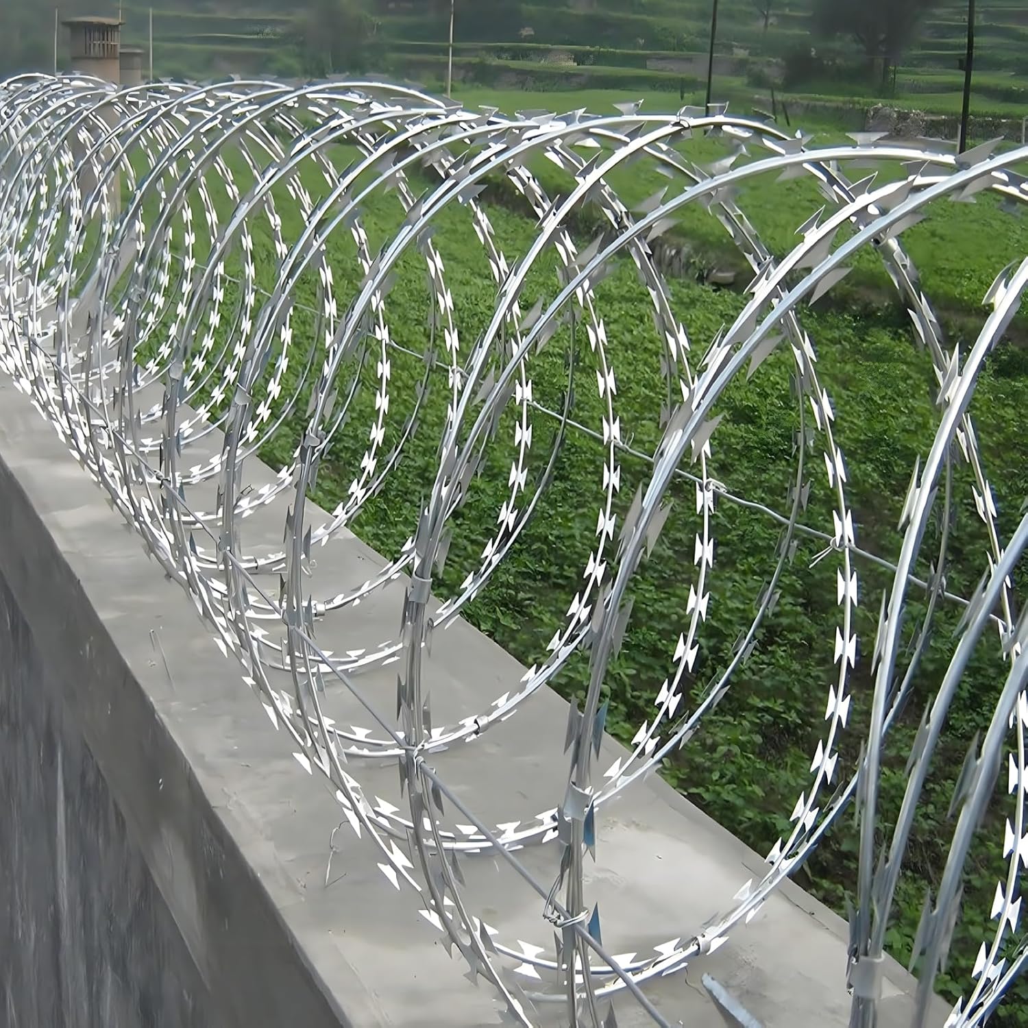 Amazon.com: Razor Wires, Double Spiral Razor Barbed Wire,Razor Wire for ...