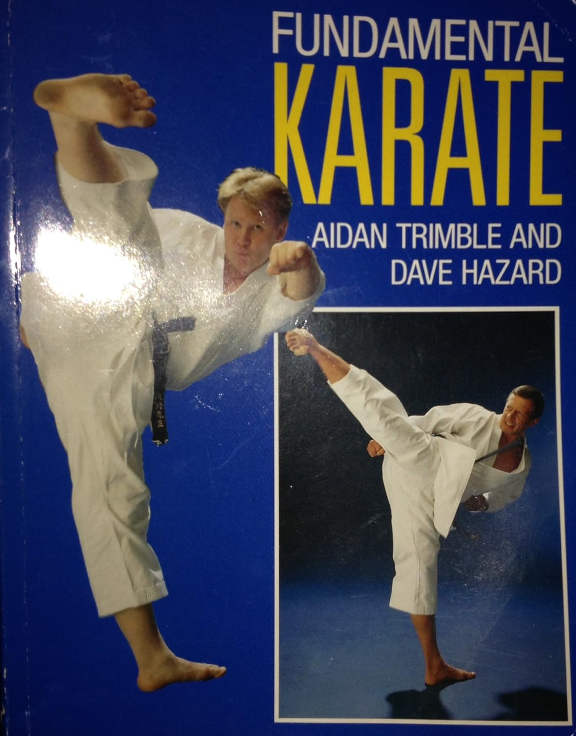 Fundamental Karate: Aidan Trimble and Dave Hazard: 9780091775452 ...