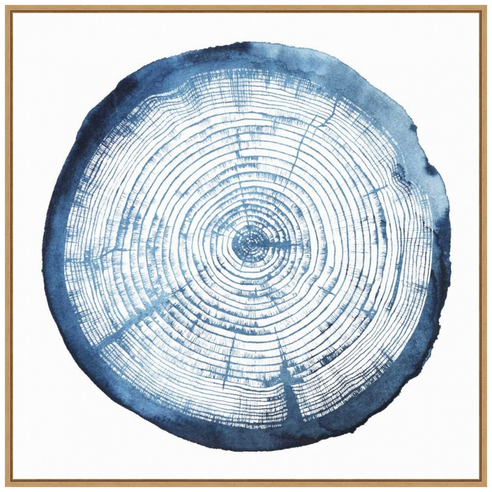 Maple Tree Rings