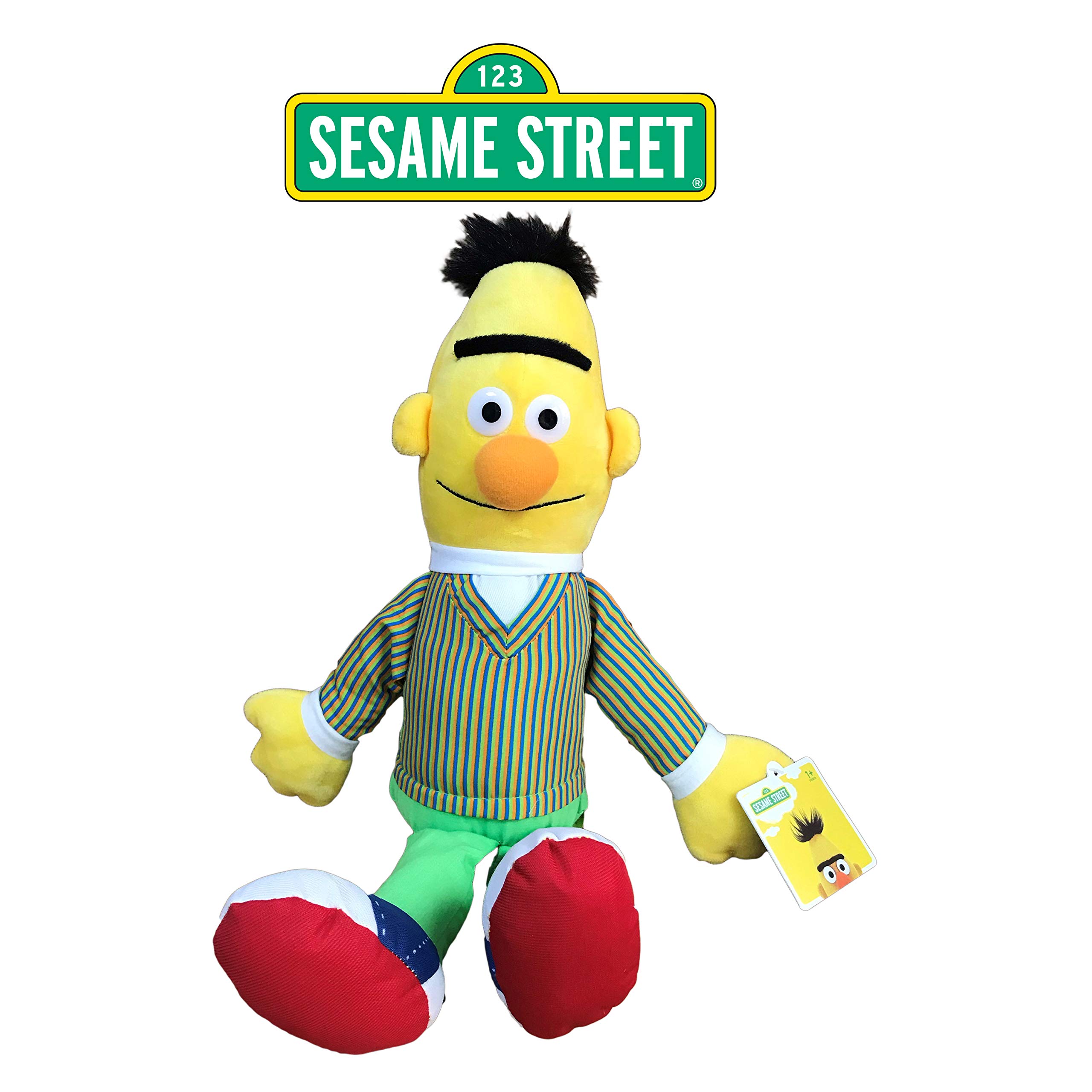 Sesam Street Bert Ansikt