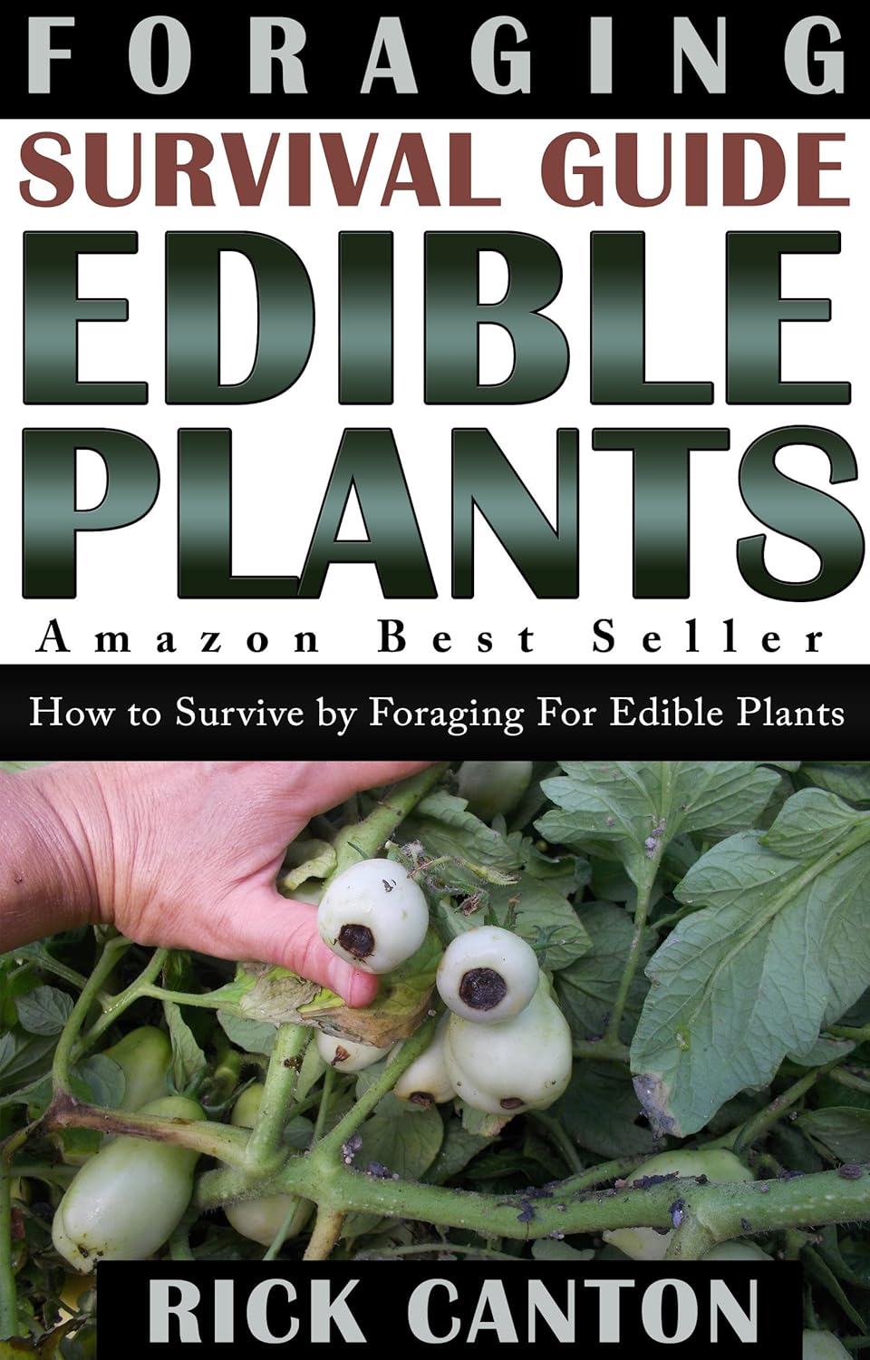 Amazon.com: Foraging: Survival Guide Edible Plants: How to Survive by ...