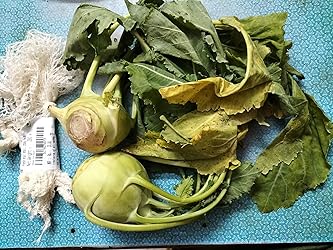 Fresh Knol Khol, 250g : Amazon.in: Grocery & Gourmet Foods