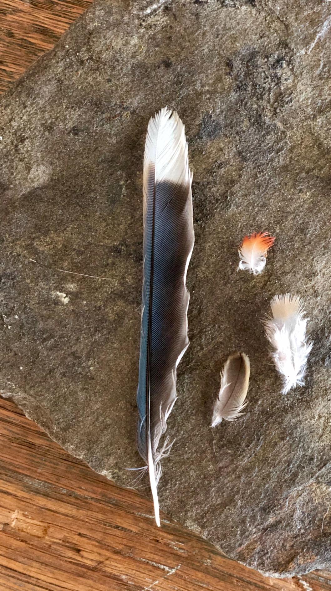 Archangels and Ascended Masters: Messages from 33 Divine Beings of ...