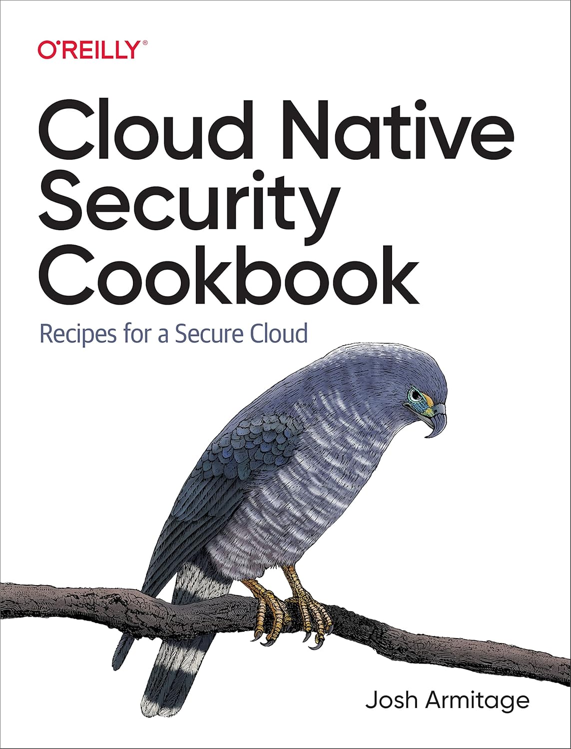 Cloud Native Security Cookbook: Recipes for a Secure Cloud: Armitage ...