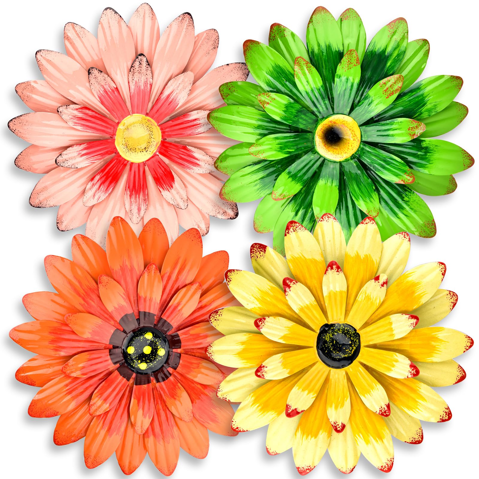 Daisy Flower Drawings With Color