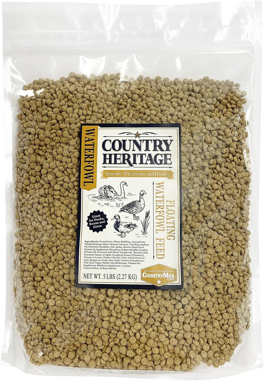 Amazon.com : Purina | Flock Raiser Crumbles Poultry Feed | 50 Pound (50 ...