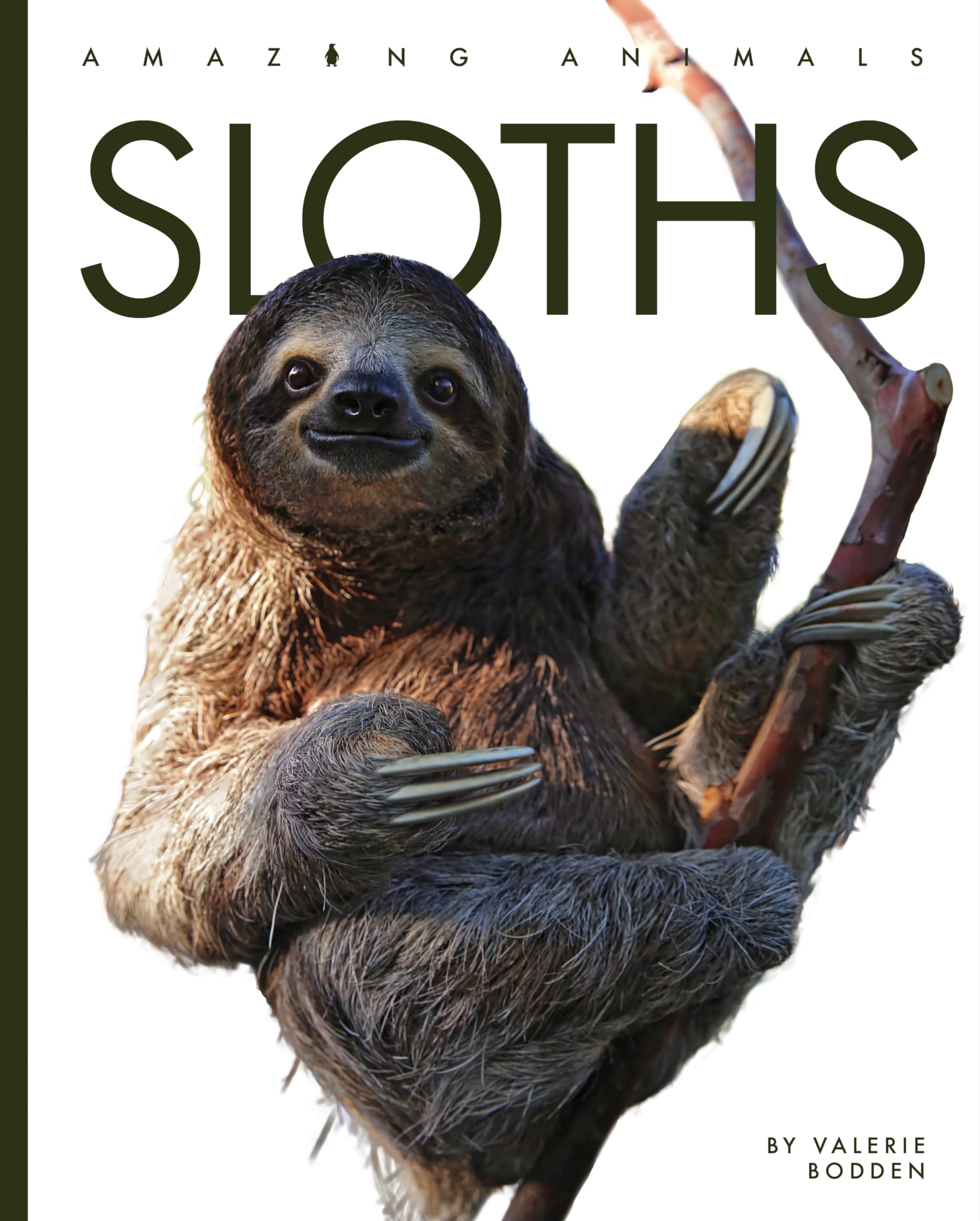 Sloths: Valerie Bodden: 9781640265790: Amazon.com: Books