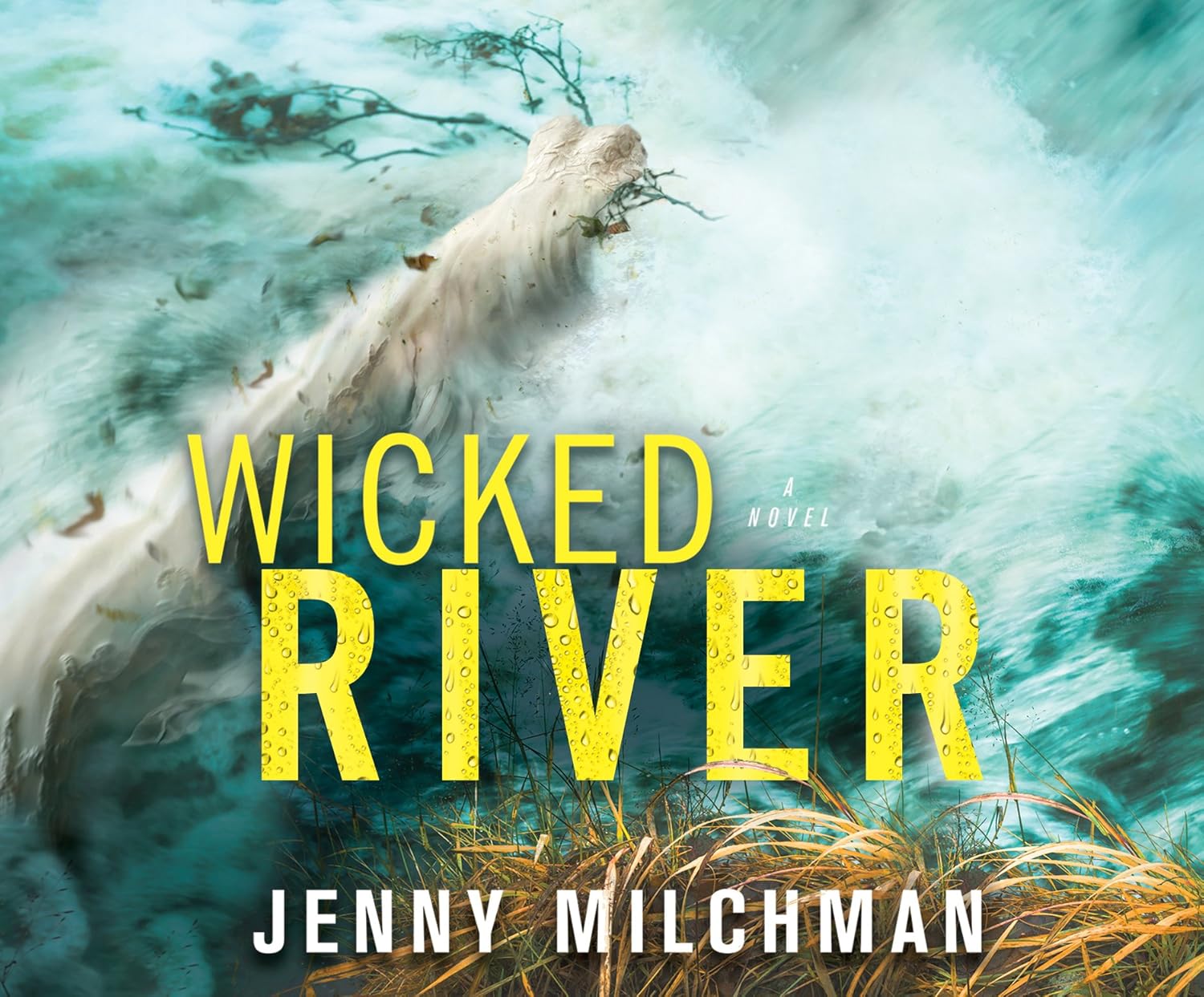 Wicked River: A Novel | Amazon.com.br