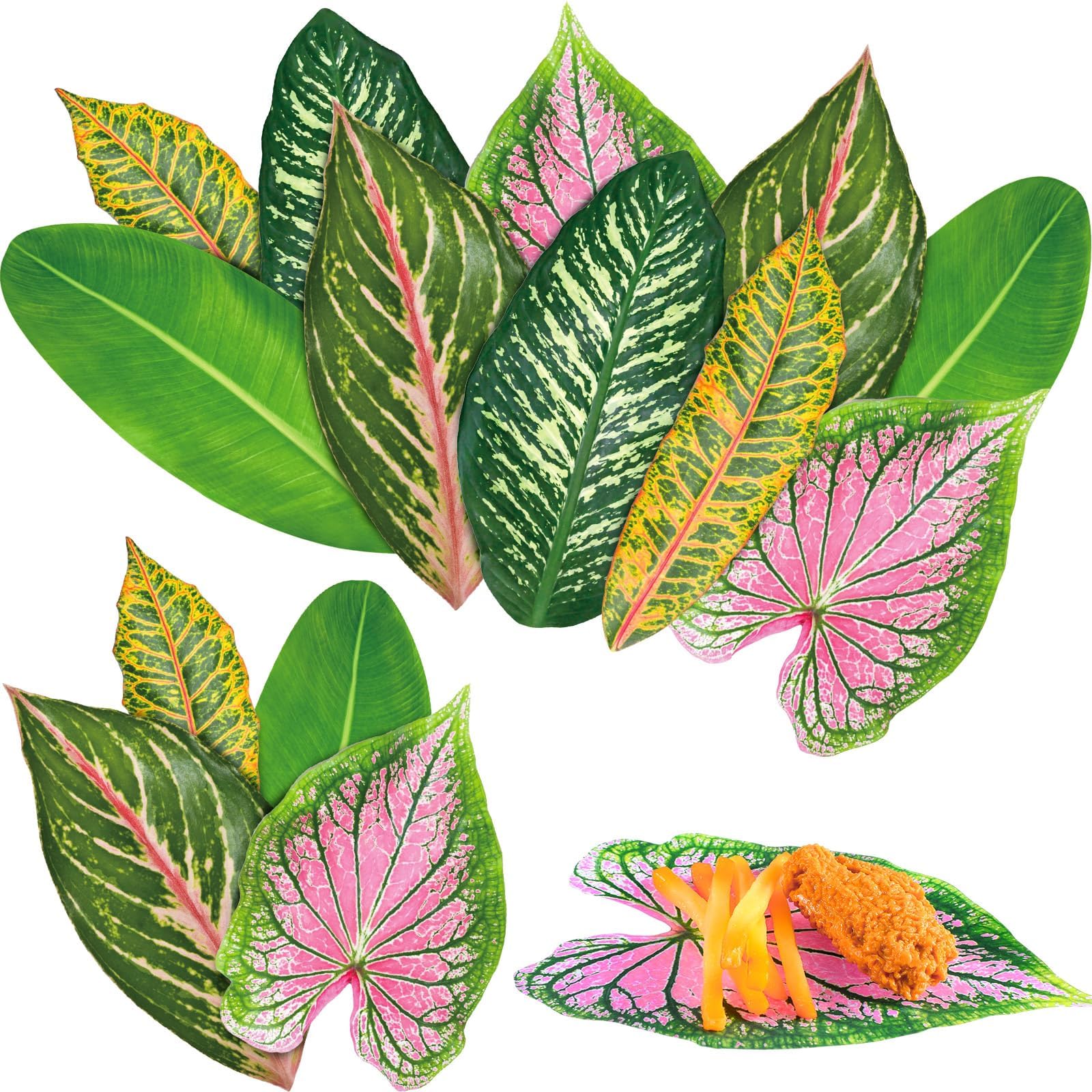 Amazon.com: 100 pcs Sushi Bamboo Leaf - Banana Leaves Make Zongzi Kit ...