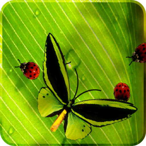 Friendly Bugs Live Wallpaper - App on Amazon Appstore