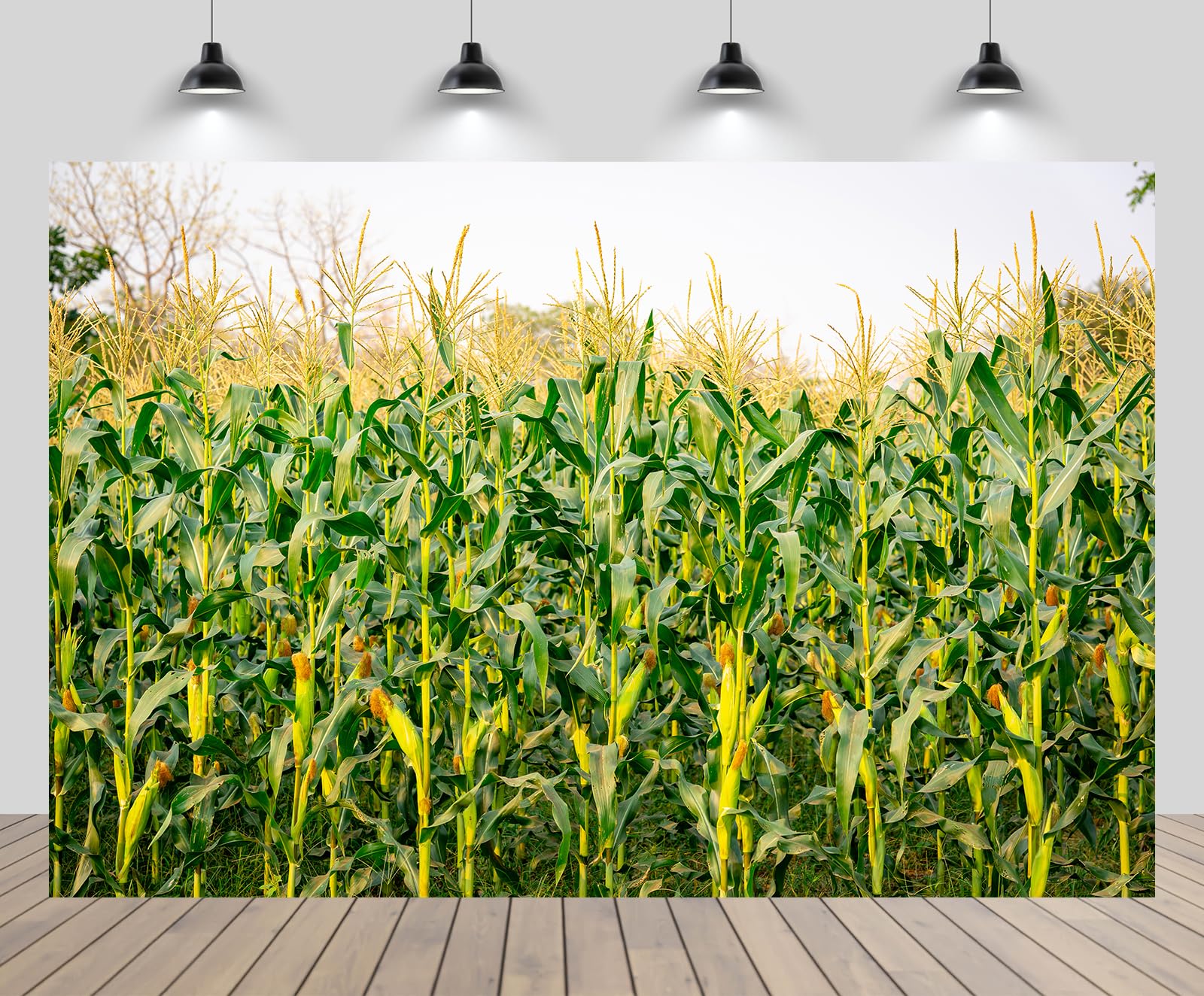 Amazon.com : CHNYWORK 7x5ft Cornfield Backdrop Autumn Green Corn Field ...