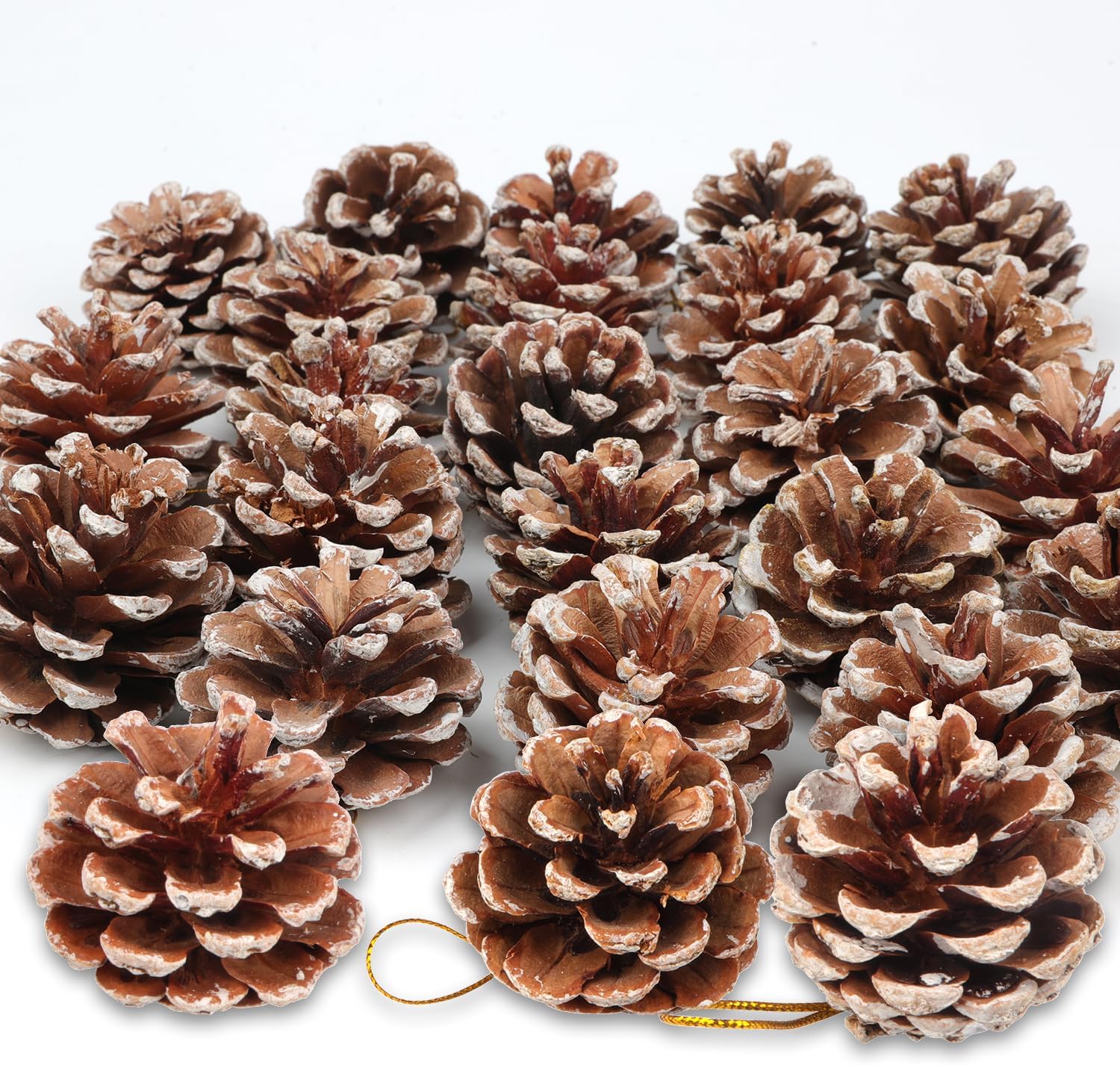 Amazon.com: 24 PCS Nature Pine Cones Christmas Ornament With String ...