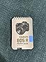Canon EOS R: Pocket Guide: Buttons, Dials, Settings, Modes, and Shooting Tips (The Pocket Guide ...