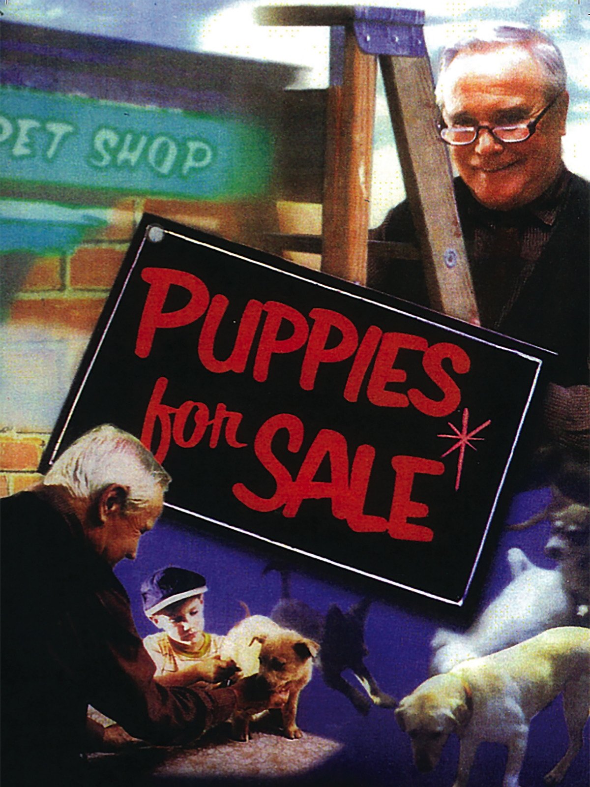 Amazon.com: Watch Puppies For Sale | Prime Video