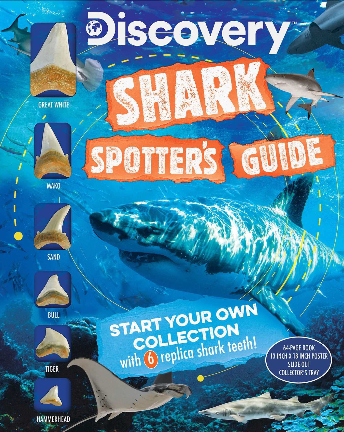 Discovery: Shark Spotter's Guide (Exploration in Action): Musgrave ...