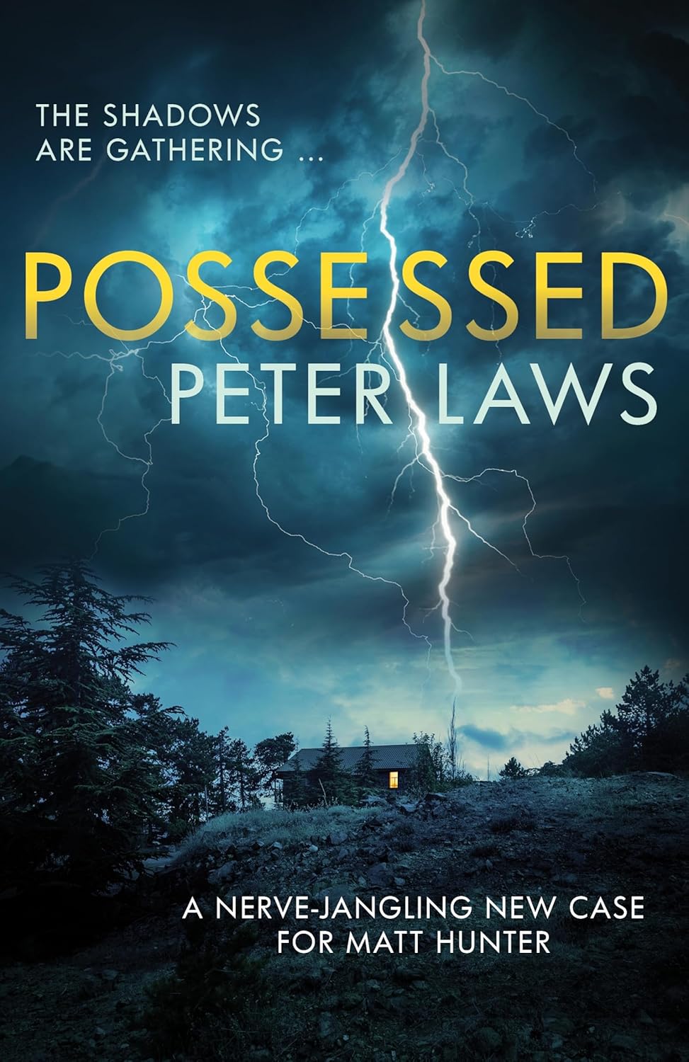 Possessed: The chilling crime novel loaded with twists and turns: 4 ...