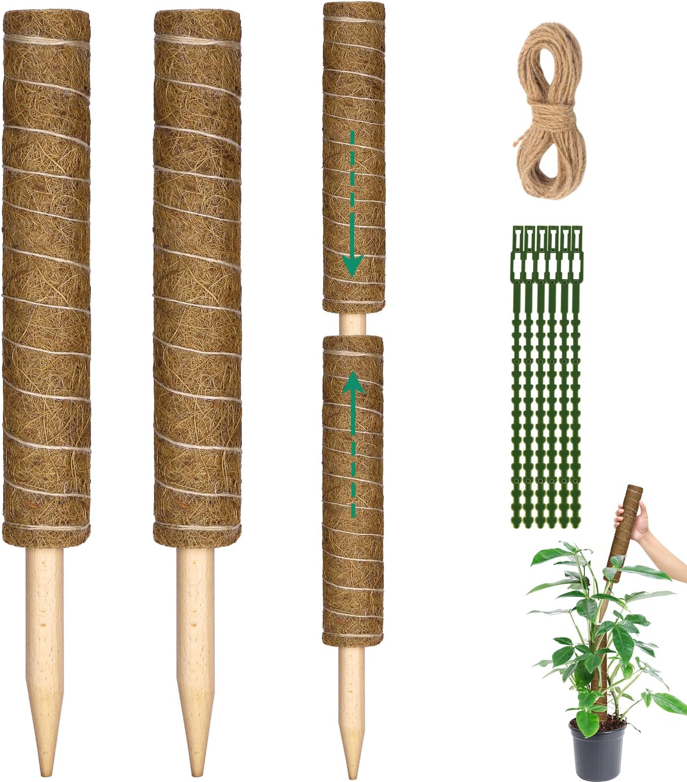 Amazon.com : Organo Republic Moss Pole Monstera Plant Support Stakes ...