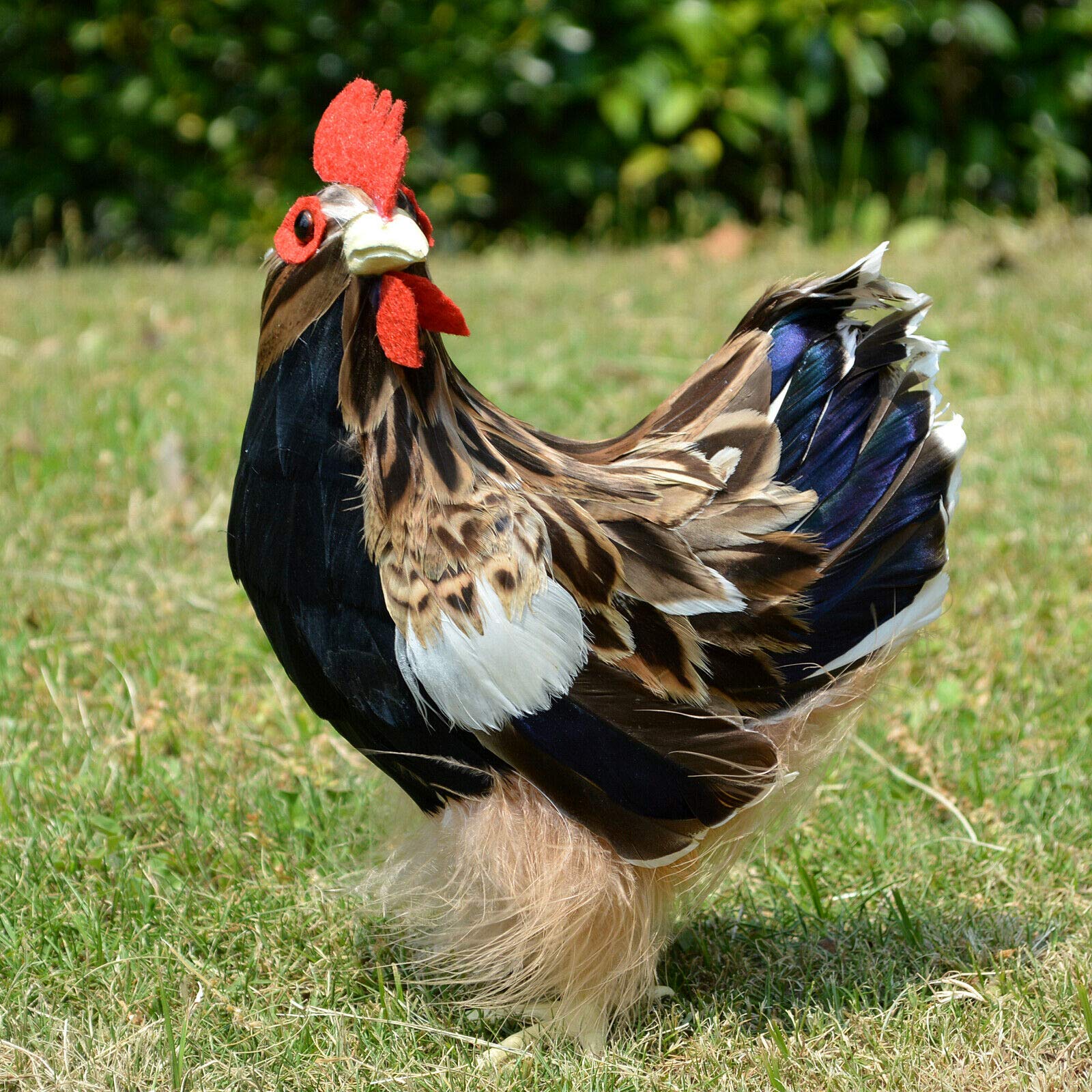 Lifelike Hen Realistic Chicken Real Soft Feather Replica Photography ...