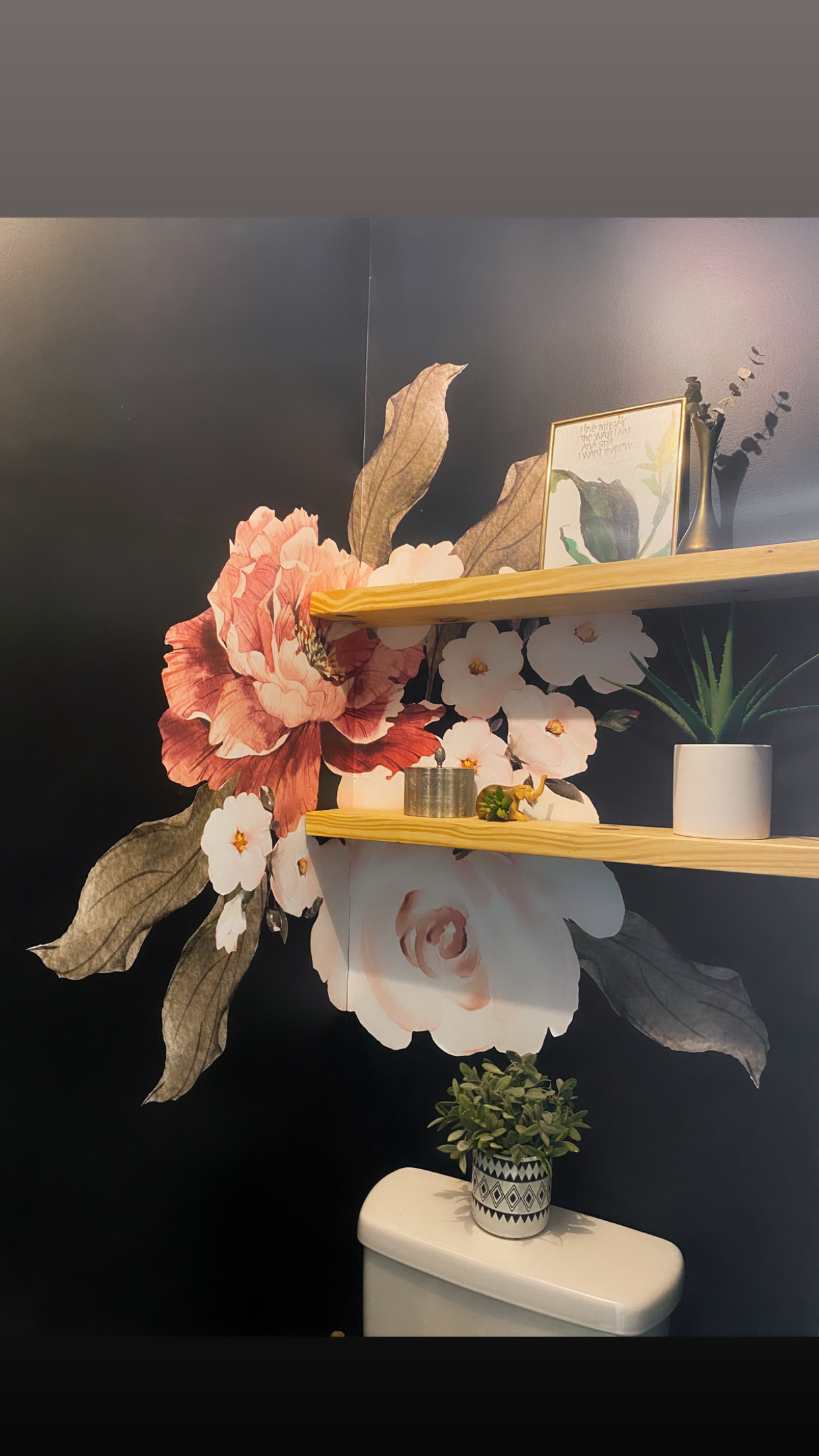 Baker.Blooms's Amazon Page