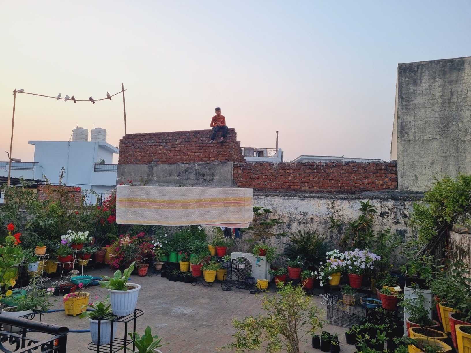 HOUSE PLANT 2 Step Garden Plant Stand, Metal Step Flower Pot Holder ...