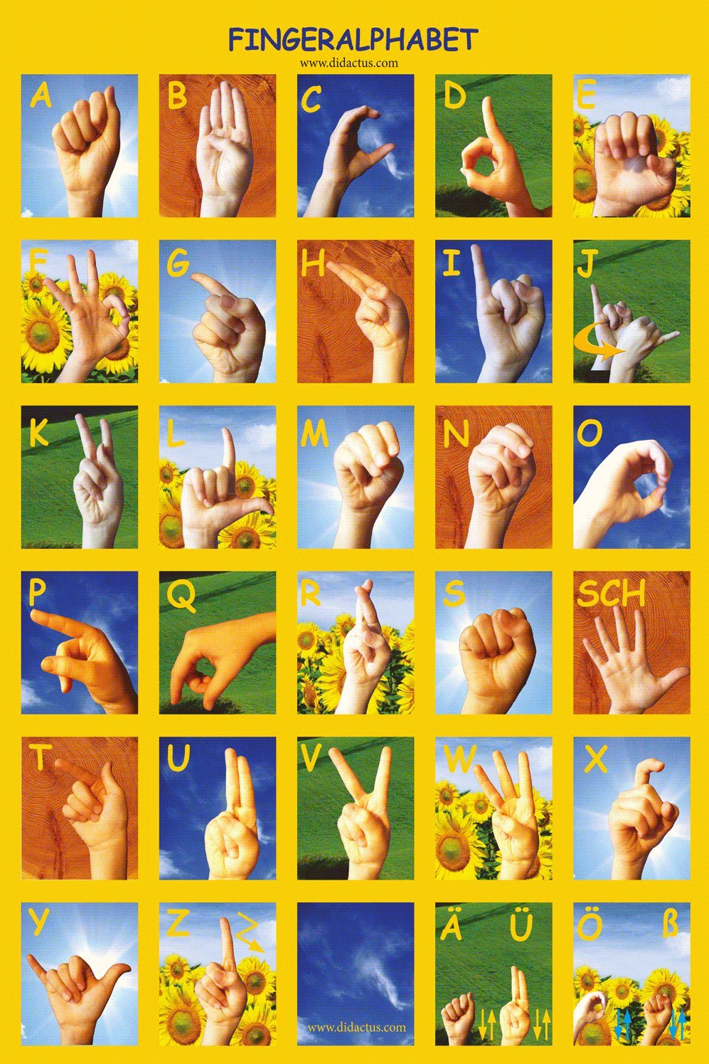 Fingeralphabet - Plakat: Plakat zur Gebärdensprache : Schöll, Carmen ...