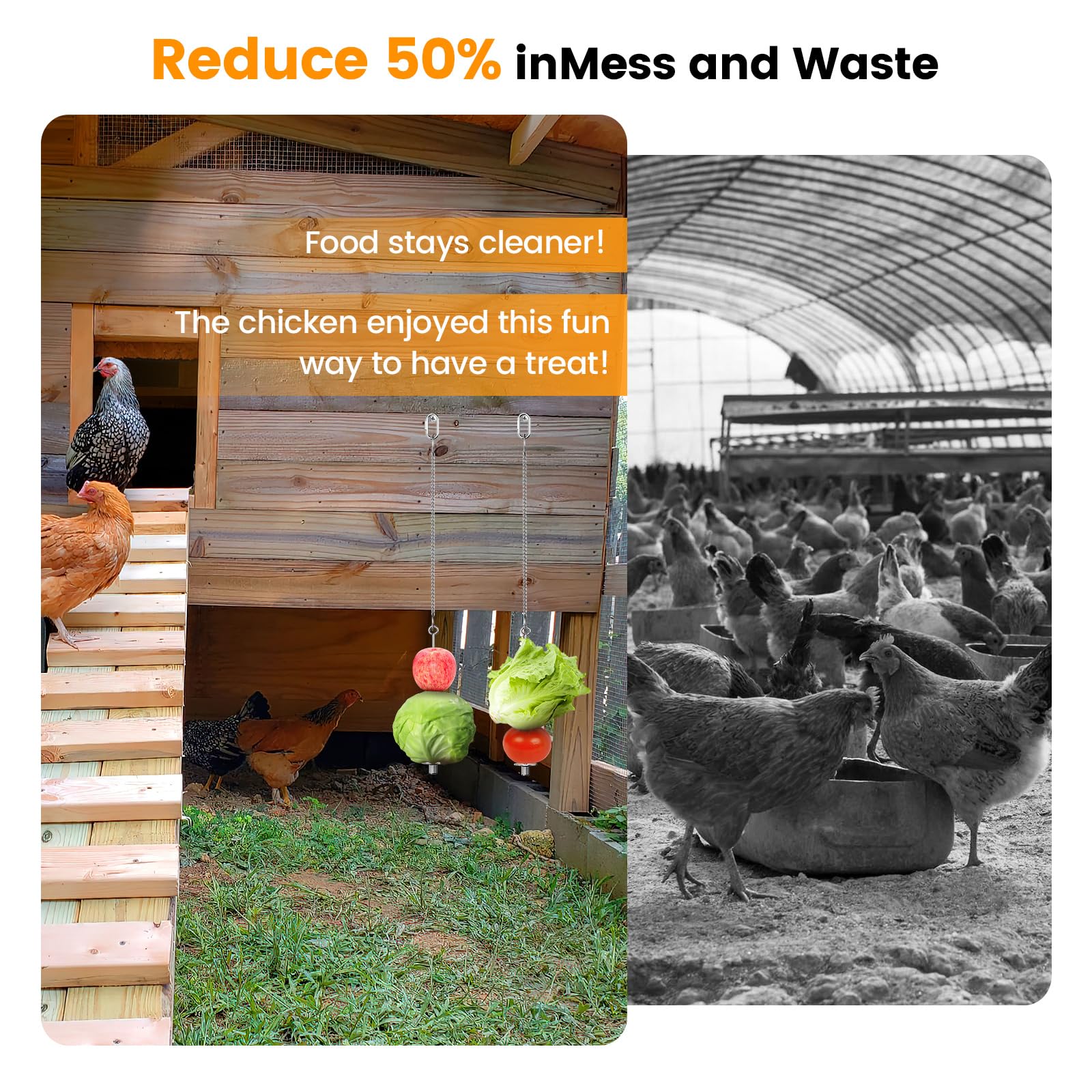 Snapklik.com : 4 In 1 Stretchable Chicken Poop Scooper Chicken Coop ...