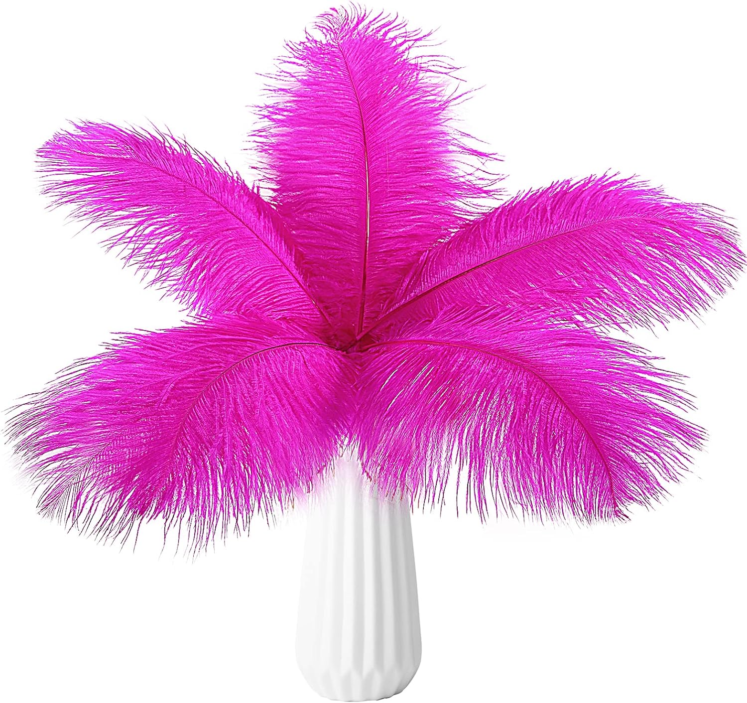 Amazon.com: THARAHT 24pcs Hot Pink Ostrich Feathers Natural Bulk 10 ...