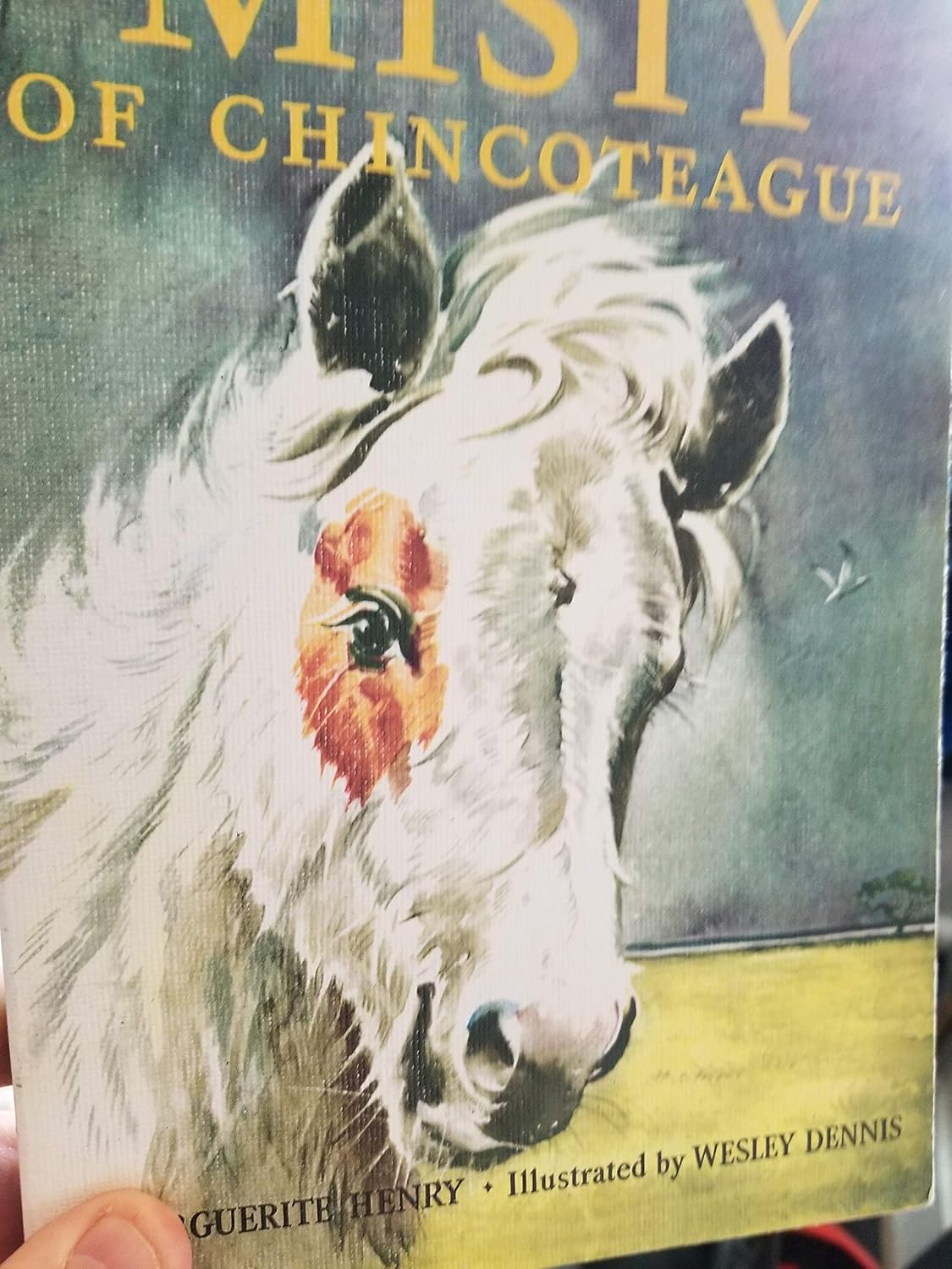 Misty of Chincoteague: Marguerite Henry, Wesley Dennis: Amazon.com: Books