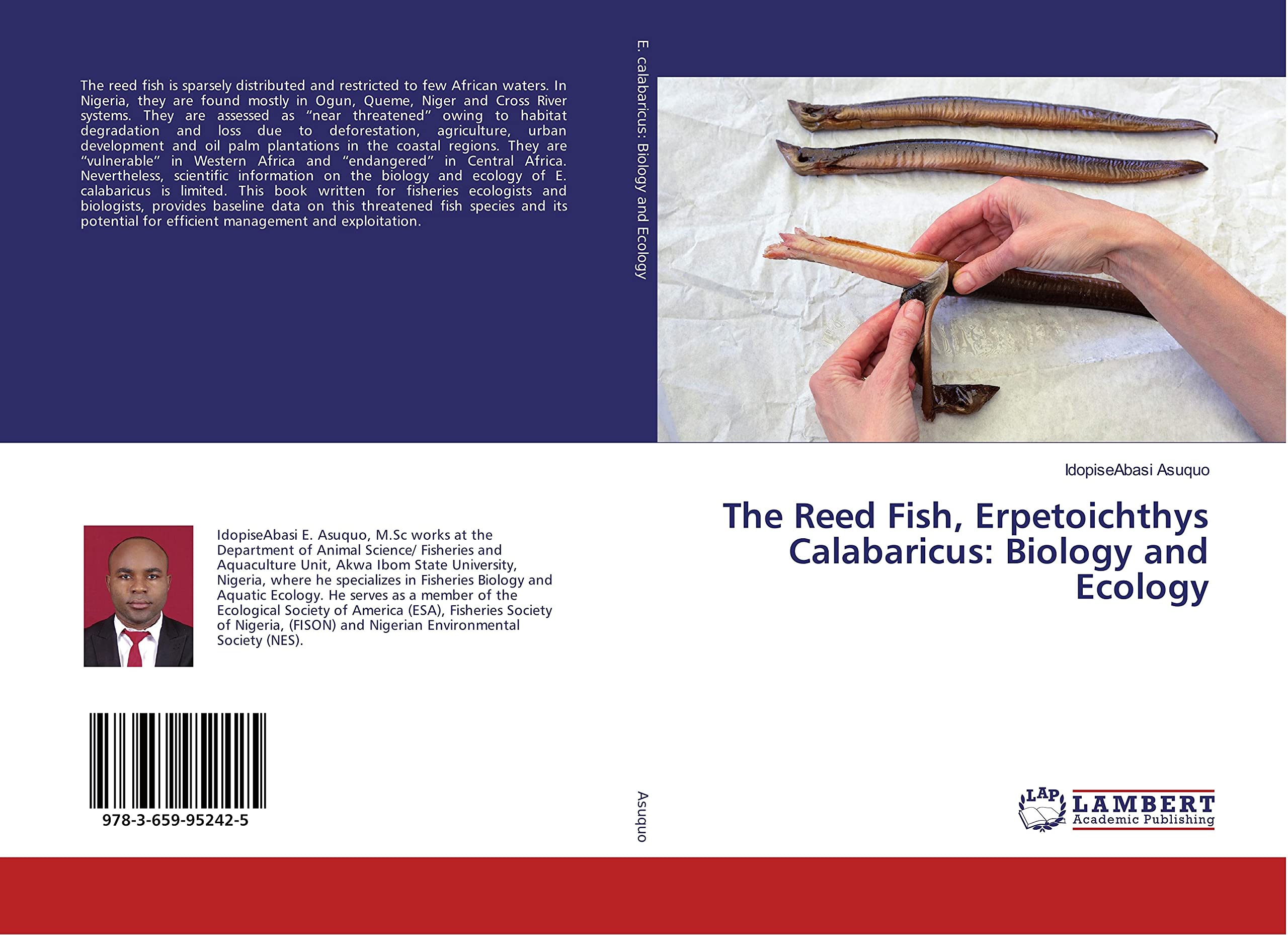 The Reed Fish, Erpetoichthys Calabaricus: Biology and Ecology: Asuquo ...