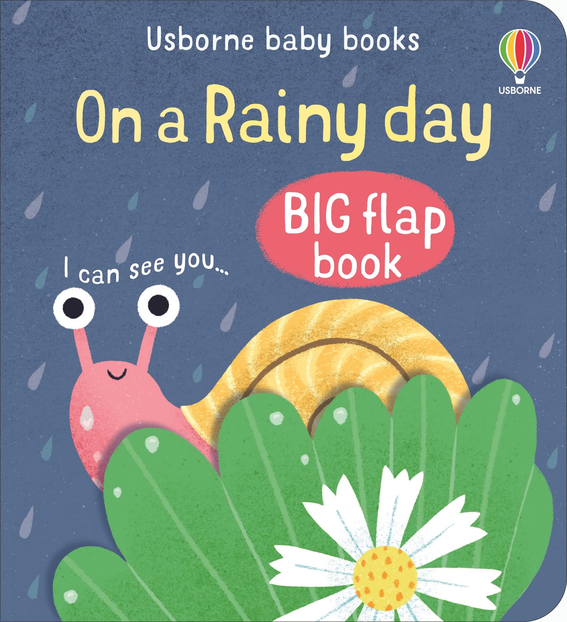 On a Rainy Day (Big Flap Book) : Cartwright, Mary, Turner, Katie ...