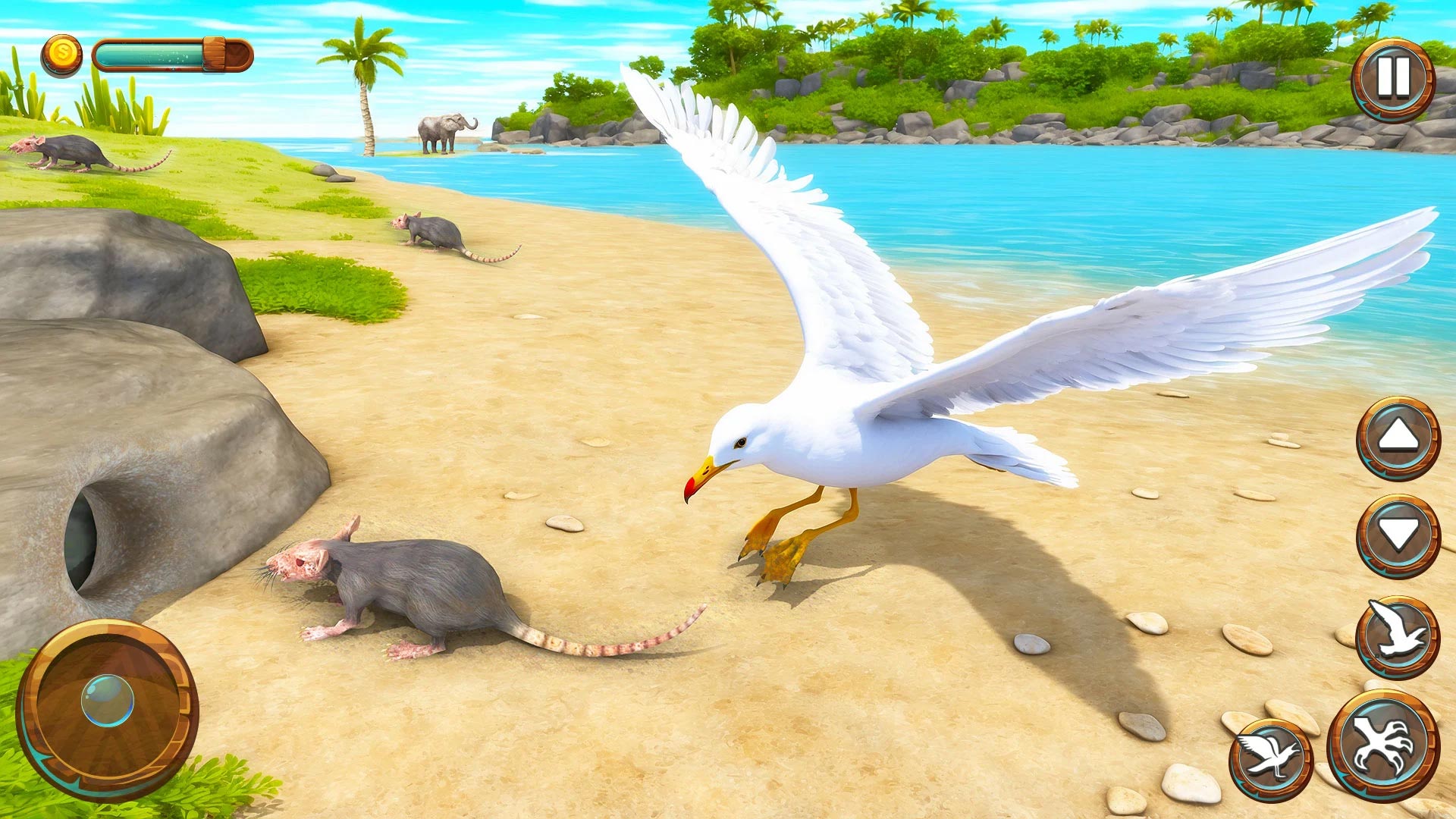Seagull Bird Family Life Simulator - App on Amazon Appstore