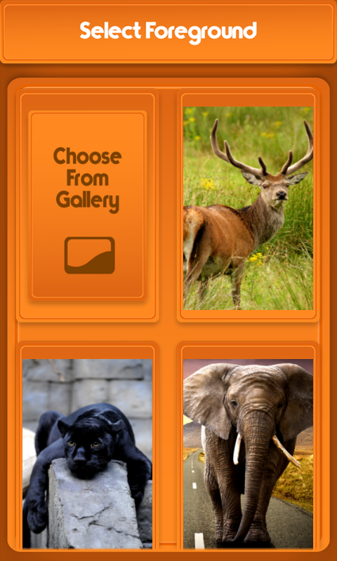 Wild Animal Zipper Lock Screen - App on Amazon Appstore