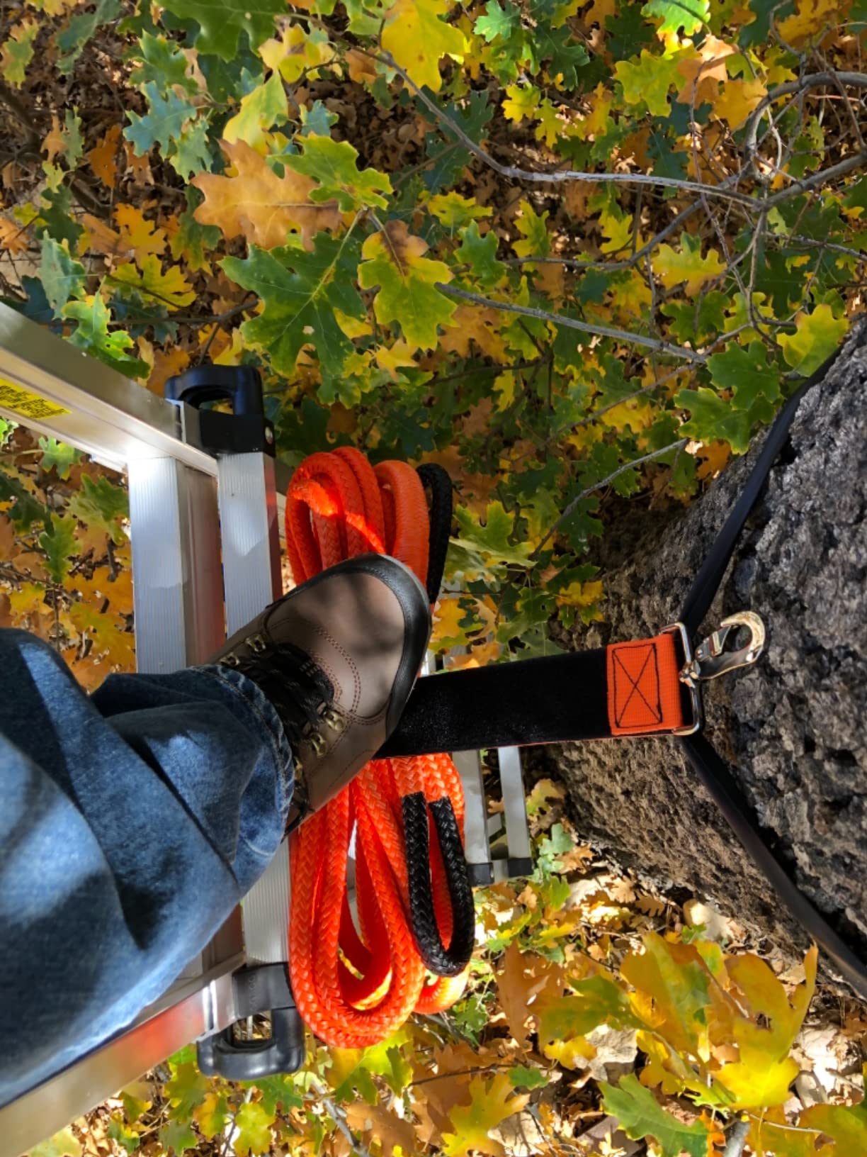 $8/mo - Finance Widen Ladder Fall Protection - Universal Ladder ...