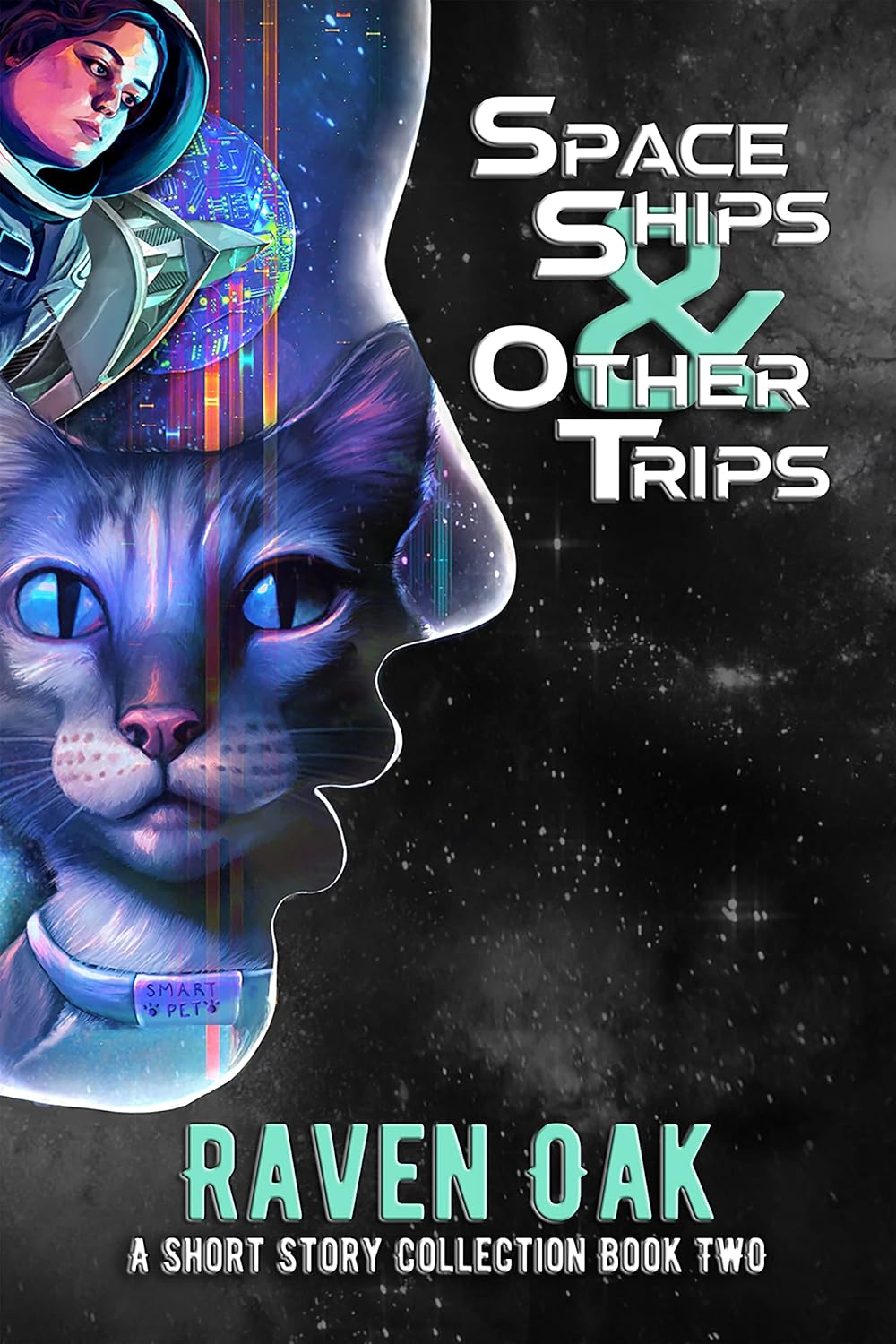 Amazon.com: Space Ships & Other Trips: A Short Story Collection: Book ...